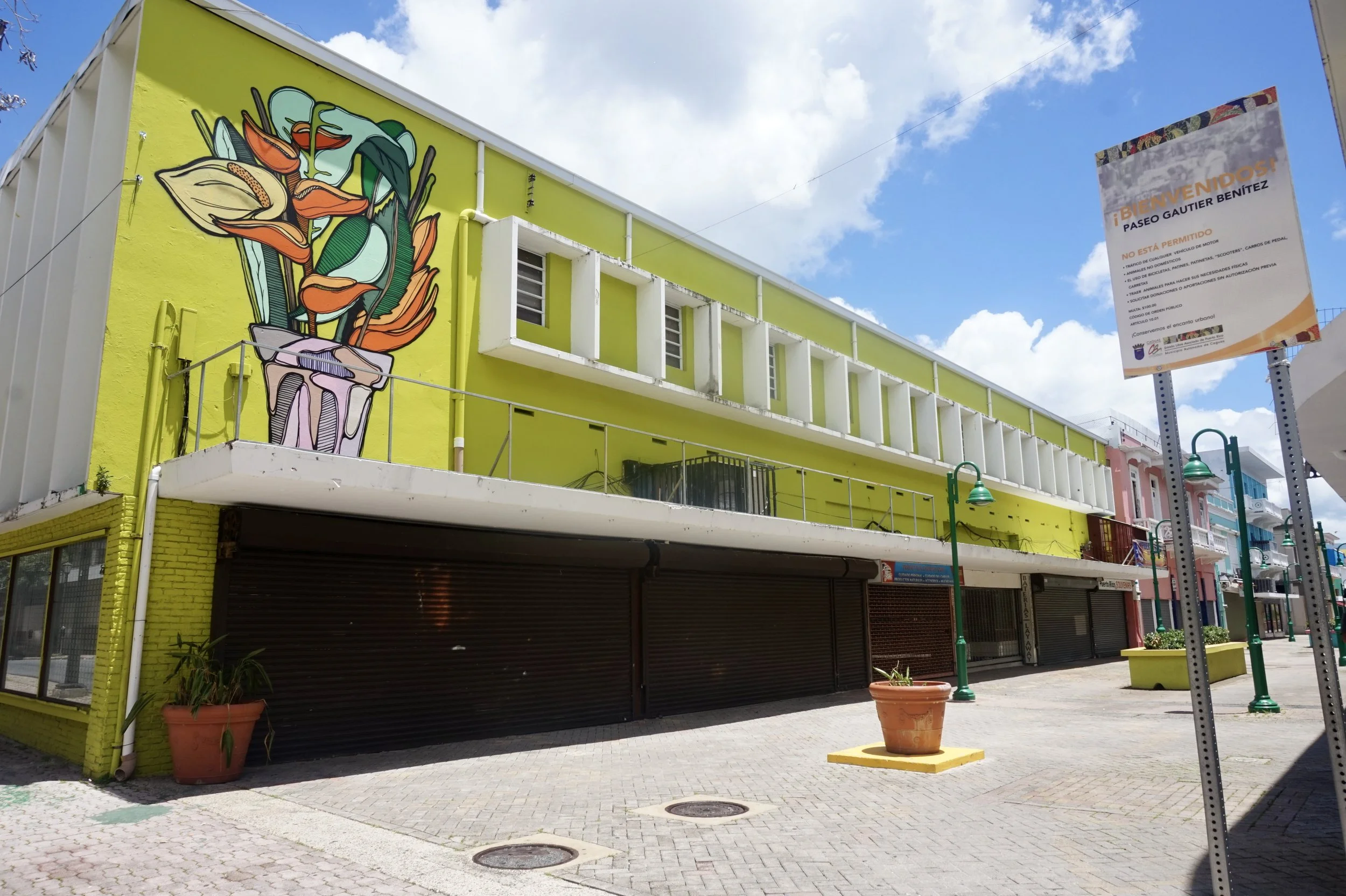 Lo Que Es Pasado Nunca Vuelve: A Journey Back To Puerto Rico Before ...