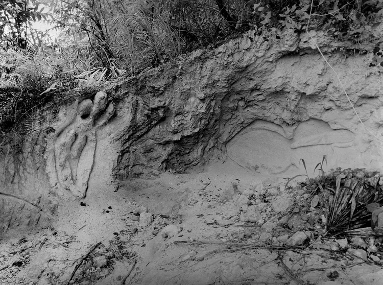 Love Letter to Ana Mendieta — The Latinx Project at NYU