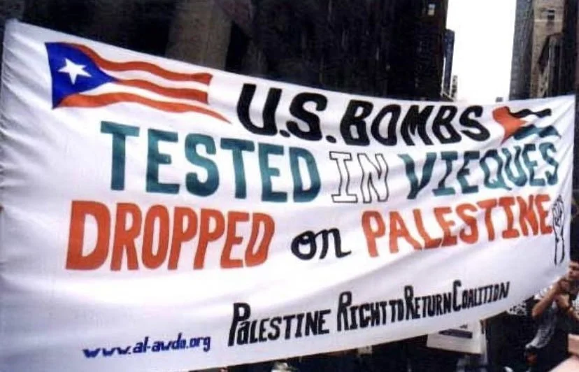 The Shadow of Palestine in Puerto Rico | Intervenxions Journal — The ...