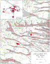 The Truth About What Happened Here: New Mexico and the Manhattan ...