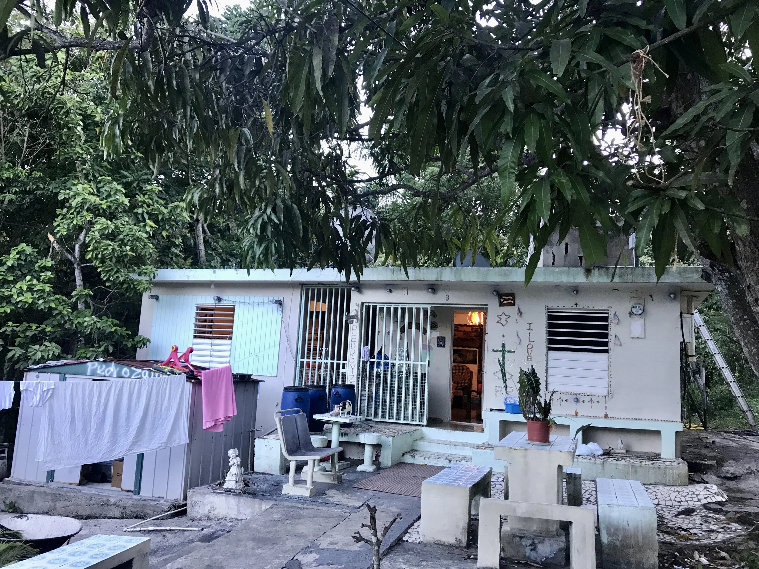 Lo Que Es Pasado Nunca Vuelve: A Journey Back To Puerto Rico Before ...