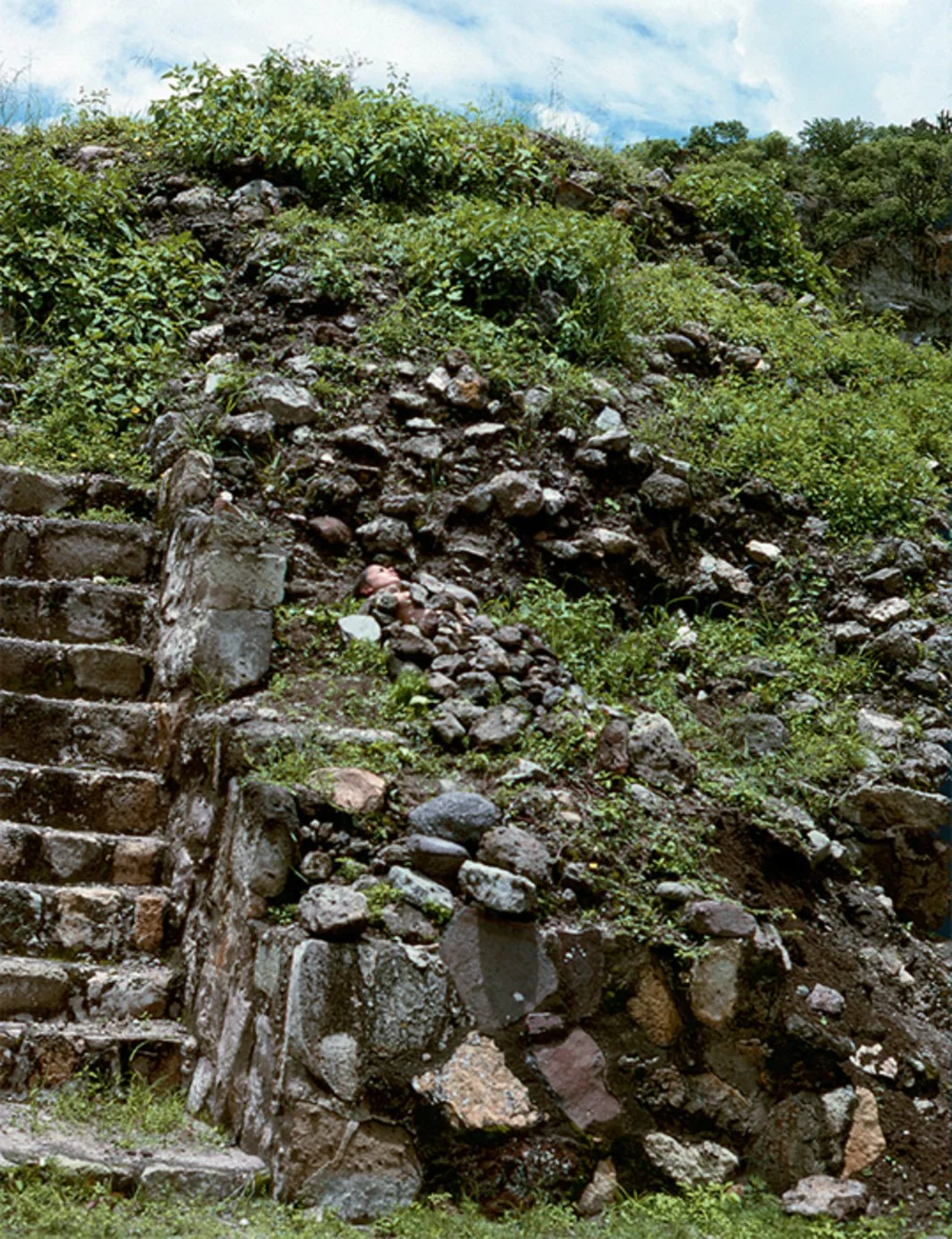Love Letter to Ana Mendieta — The Latinx Project at NYU