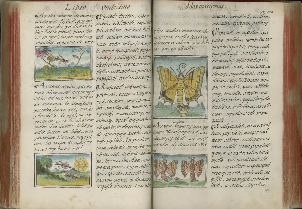 Digital 'Florentine Codex' at the Getty — The Latinx Project at NYU