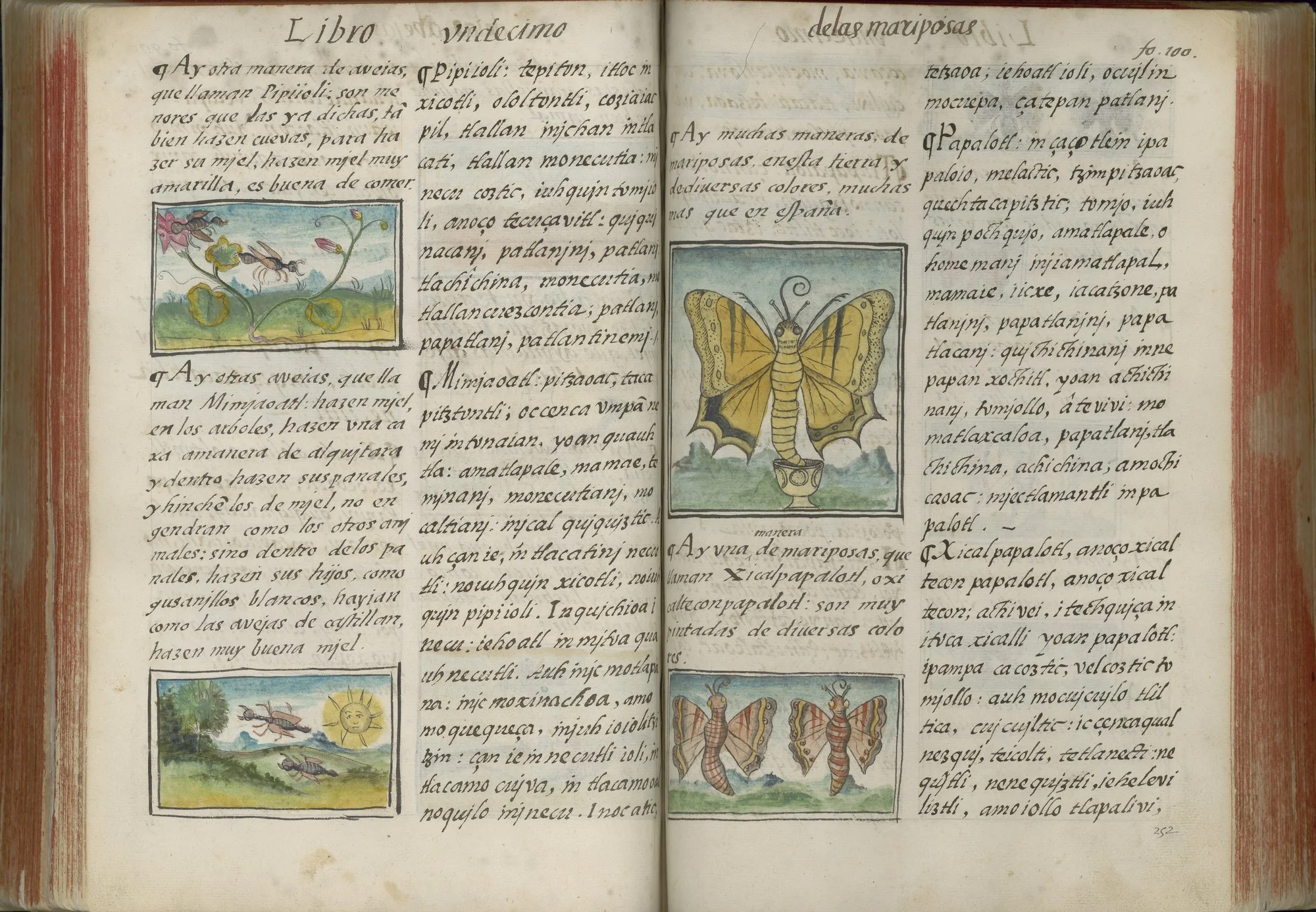 Digital 'Florentine Codex' at the Getty — The Latinx Project at NYU