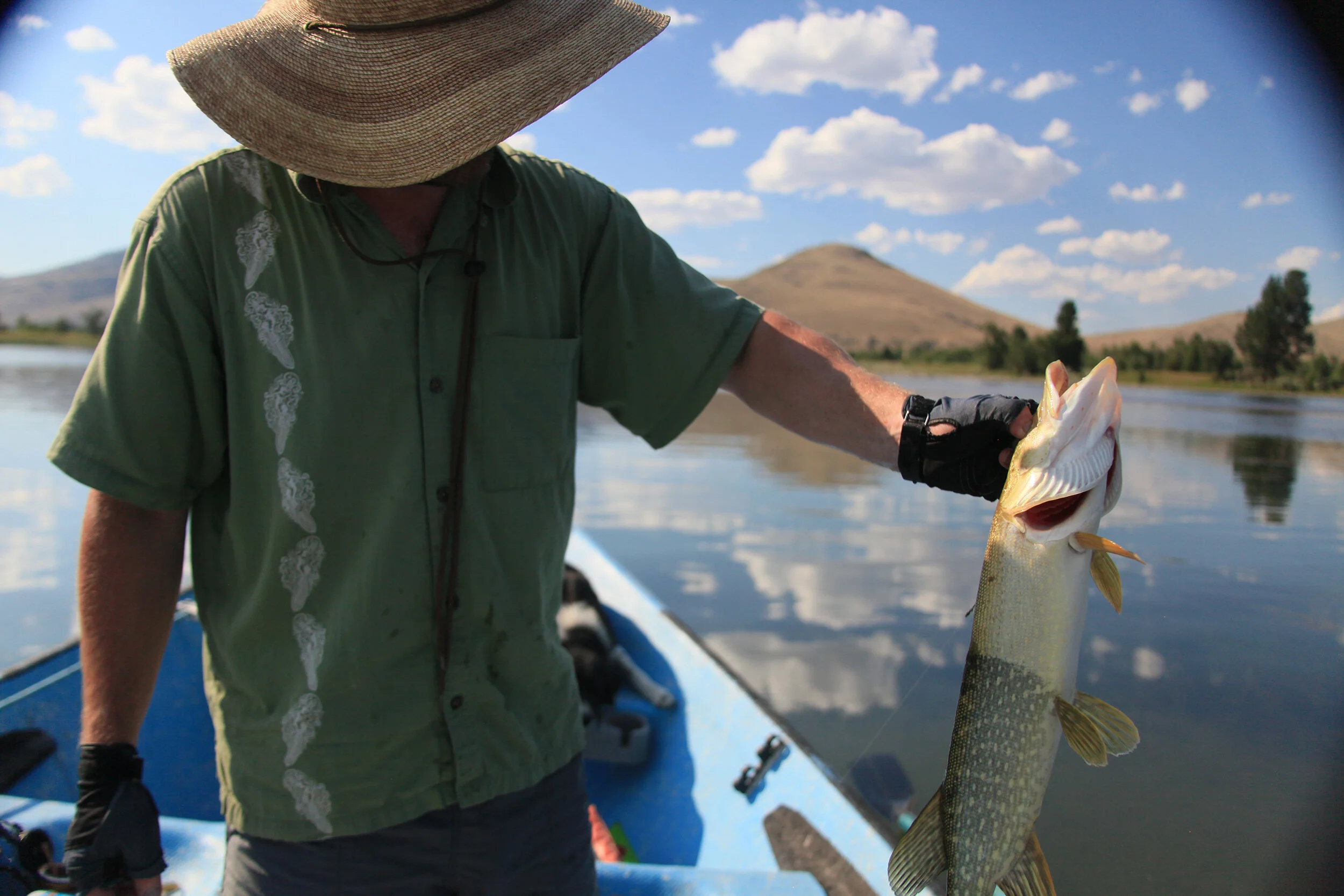 Tyler Pfiffner Photography