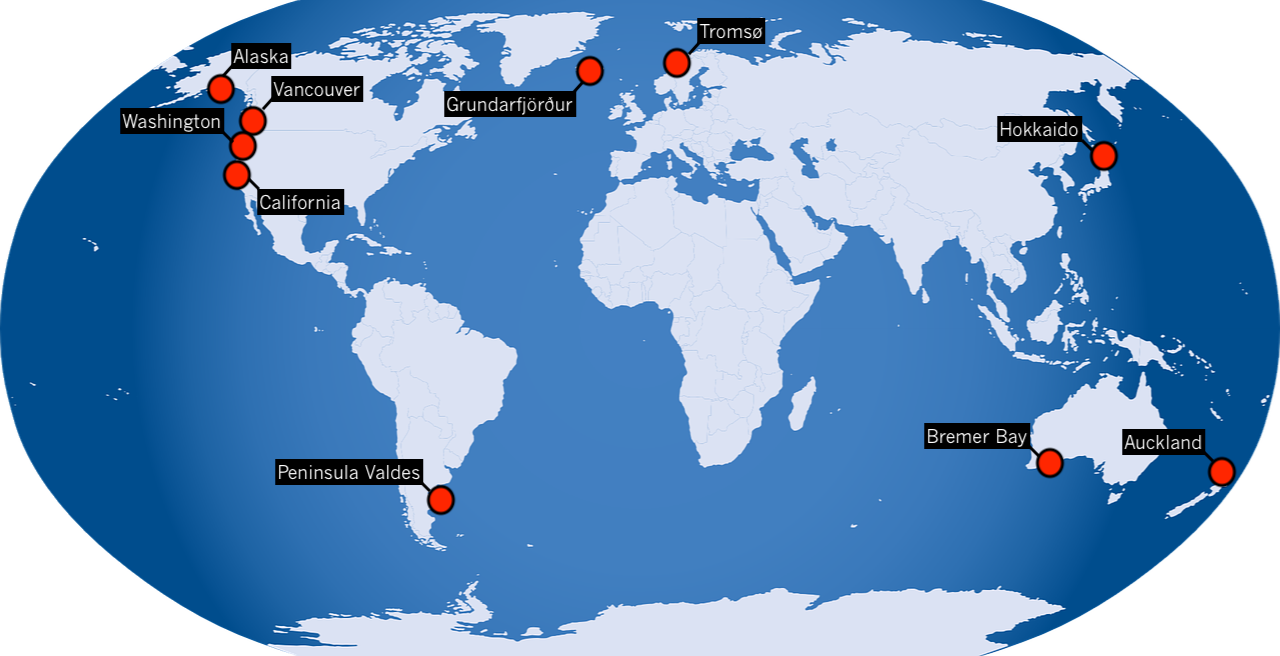 Best Places to See Killer Whales: Hotspot Destination Map
