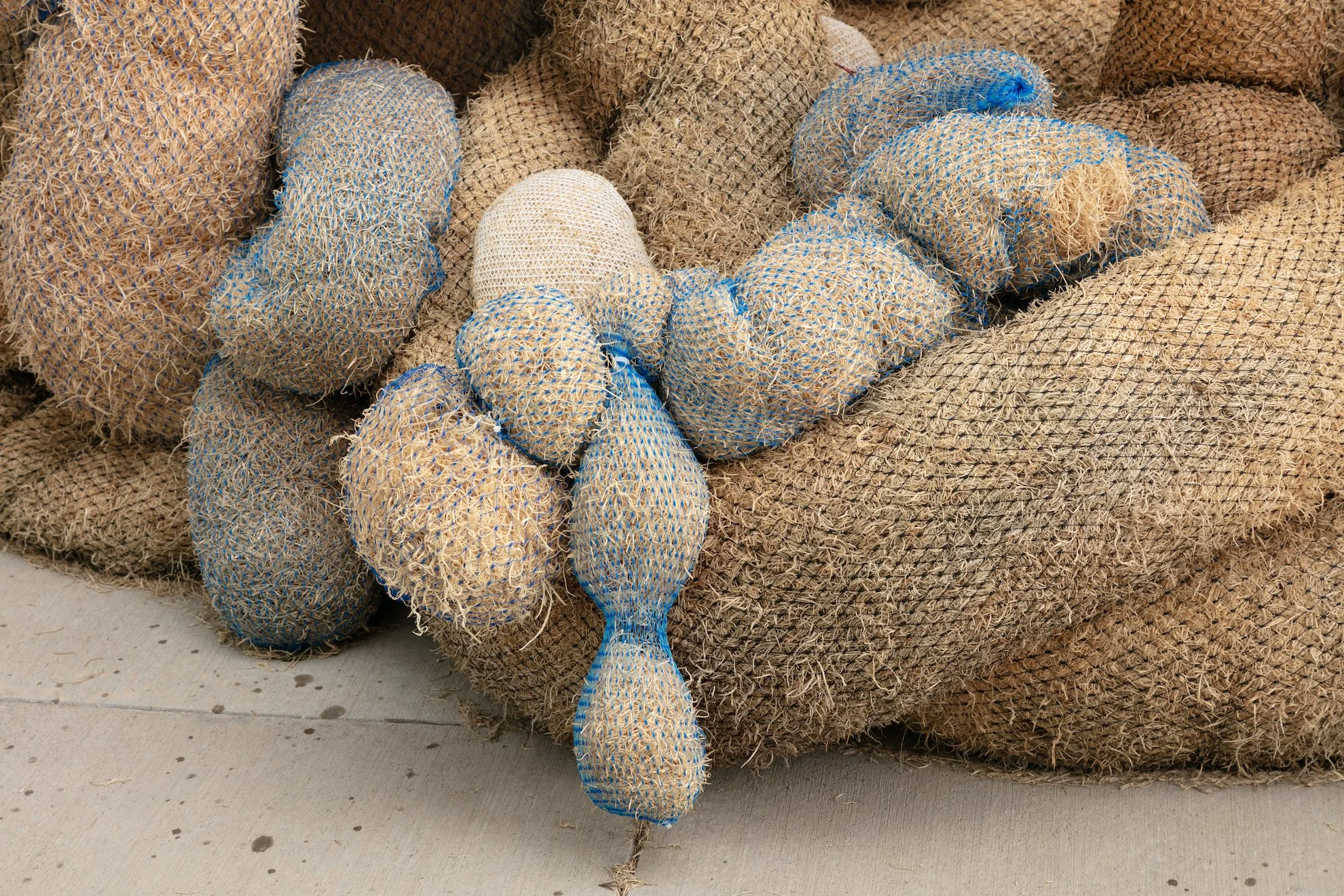 caesura — Martha Russo