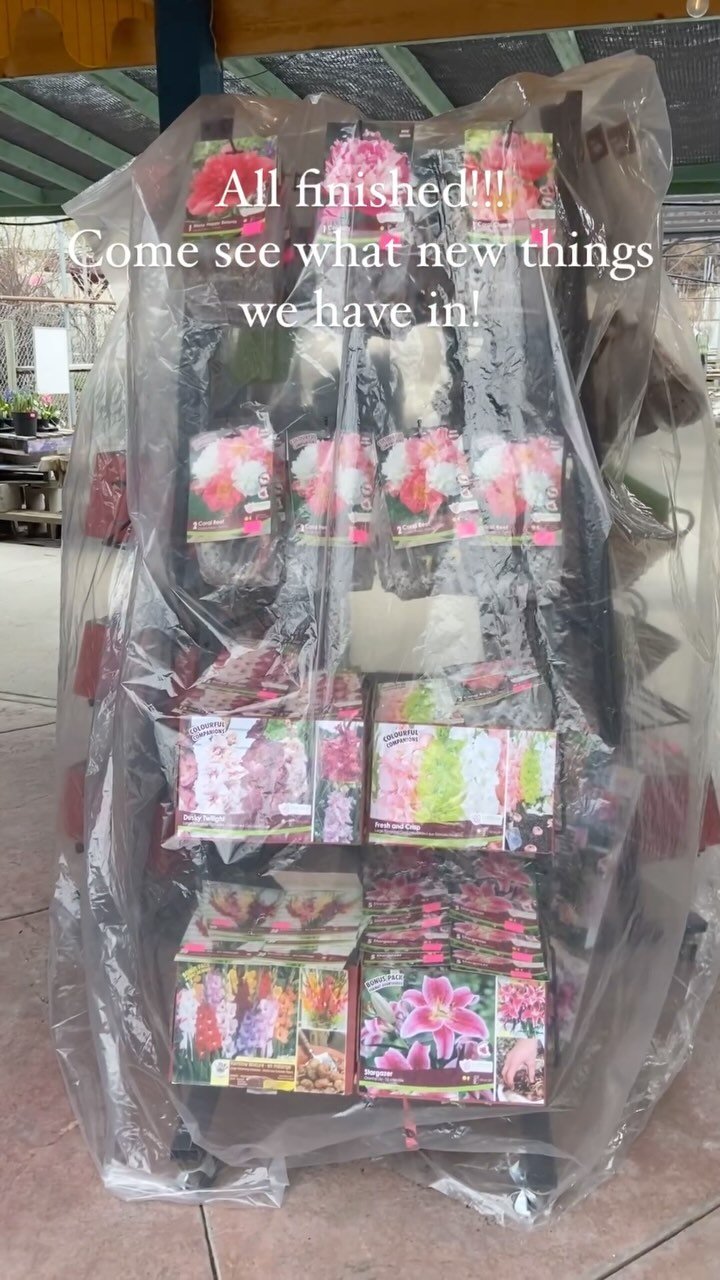 Riverside Garden Centre