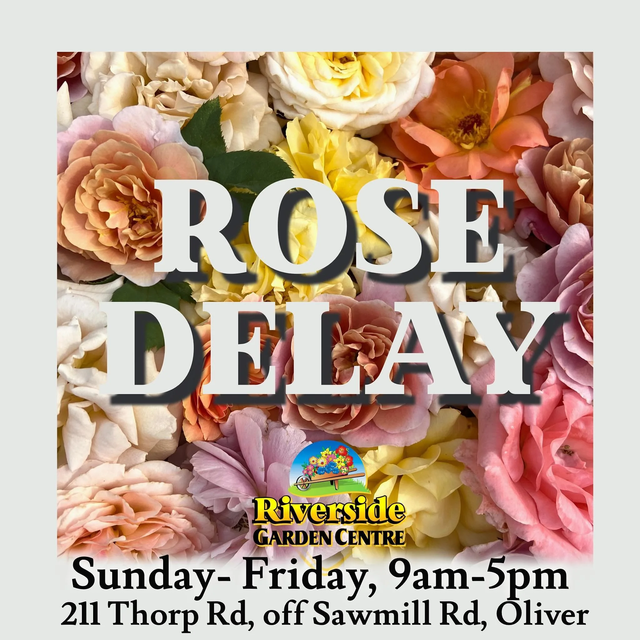 Riverside Garden Centre