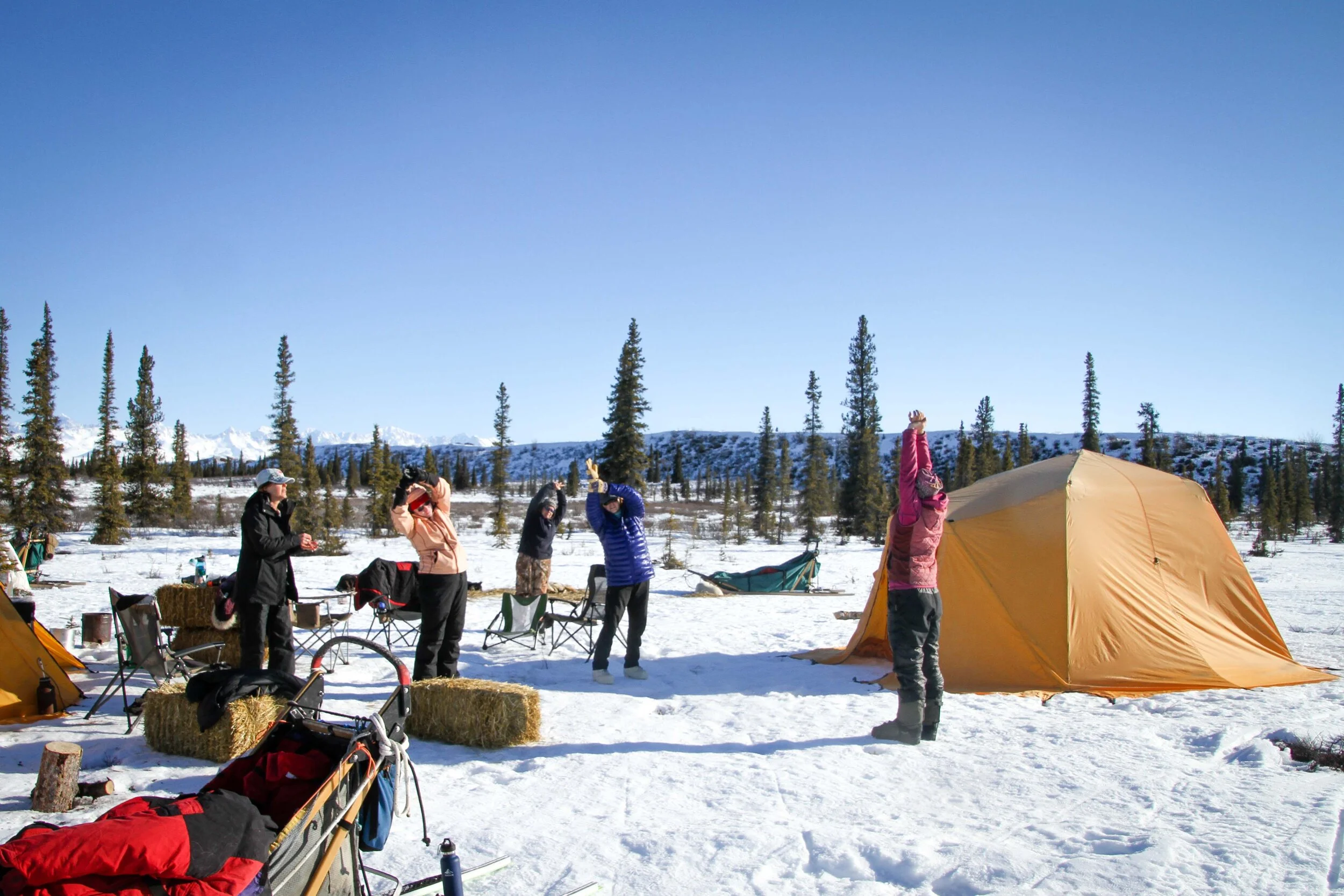 Yoga Untamed - Yoga instruction, adventure retreats, classes