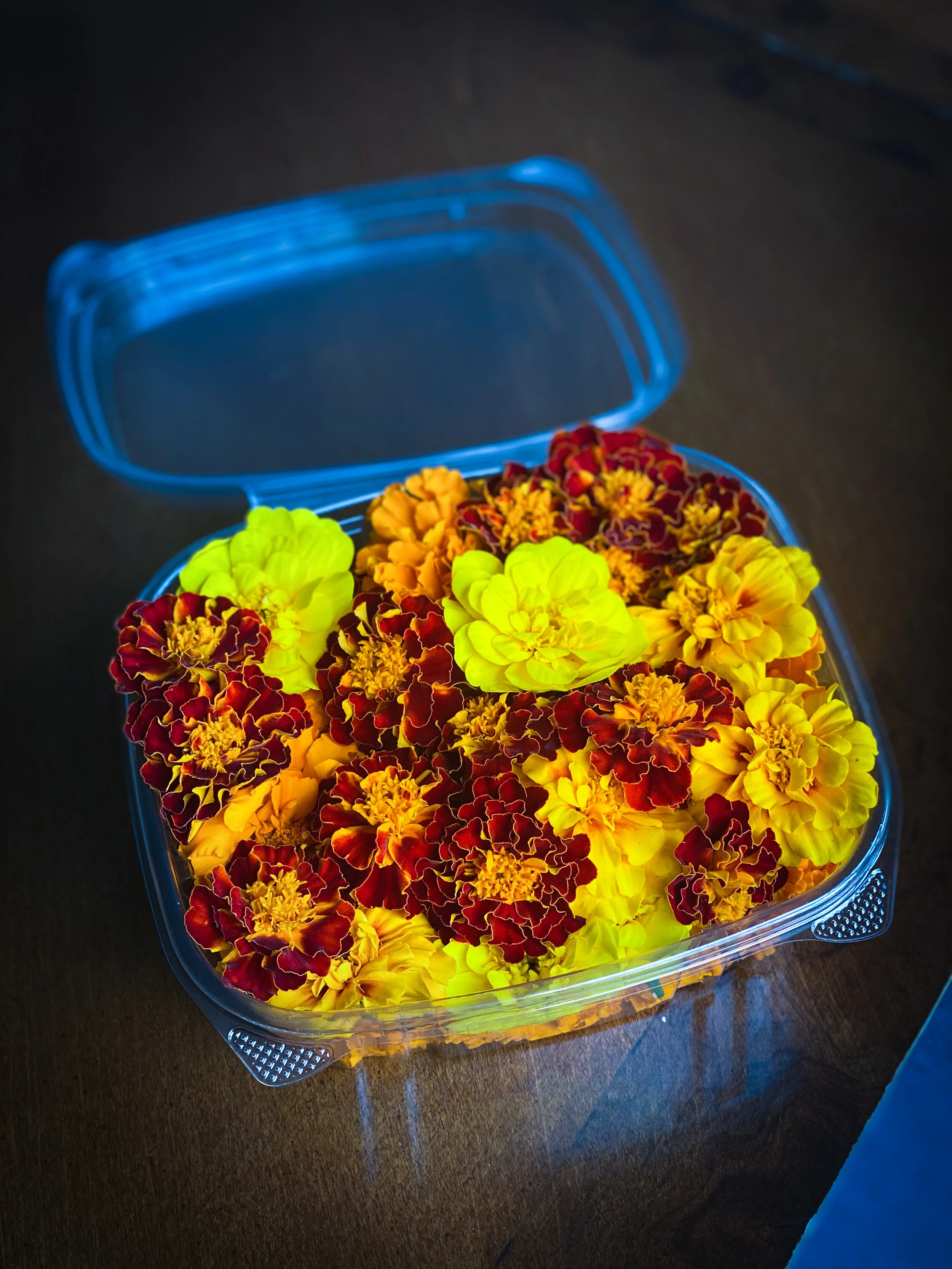 Farm Store — Microledon Farm