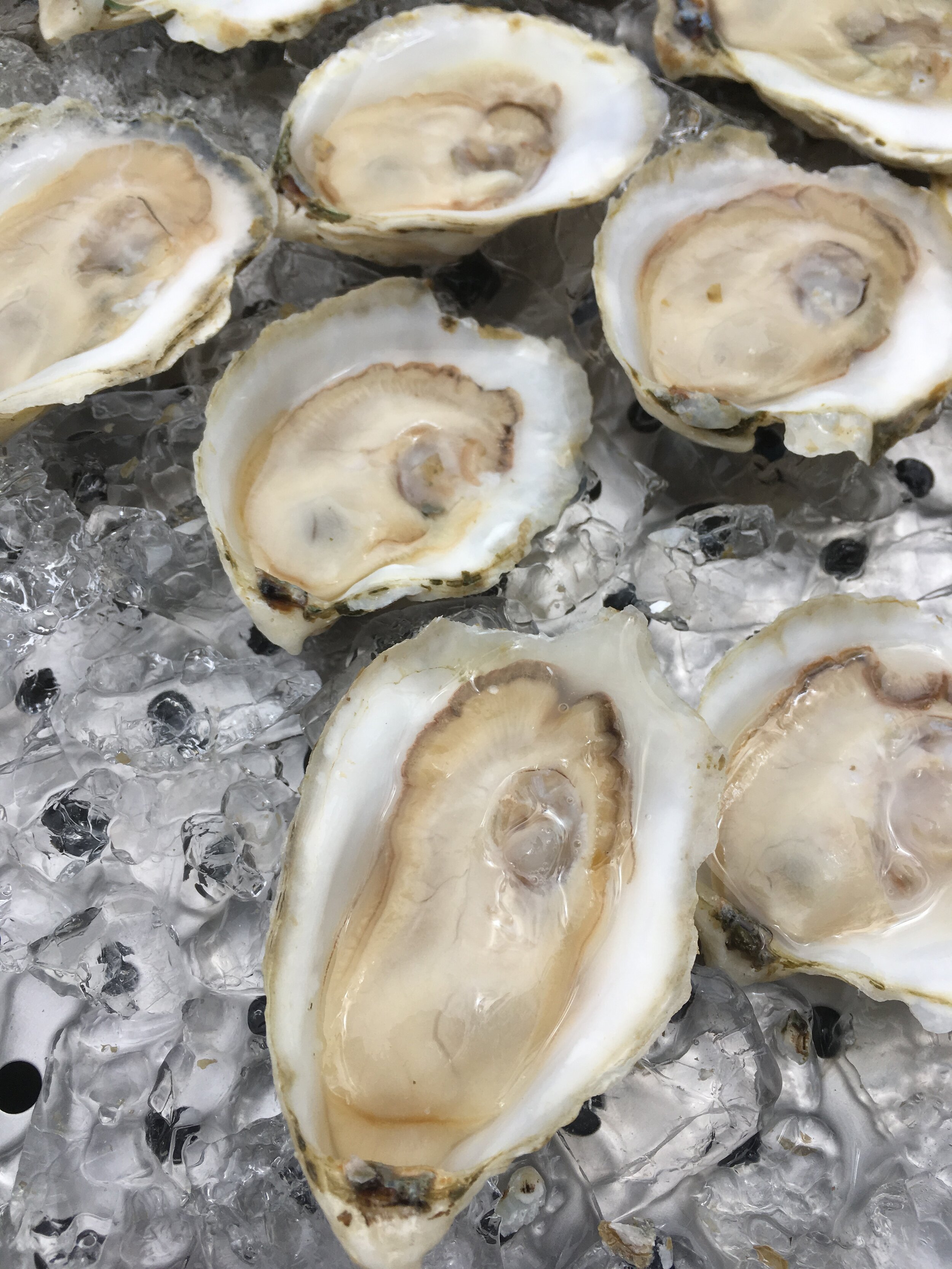 Shuck Shop™ Baby! — ORCHARD POINT OYSTER CO.