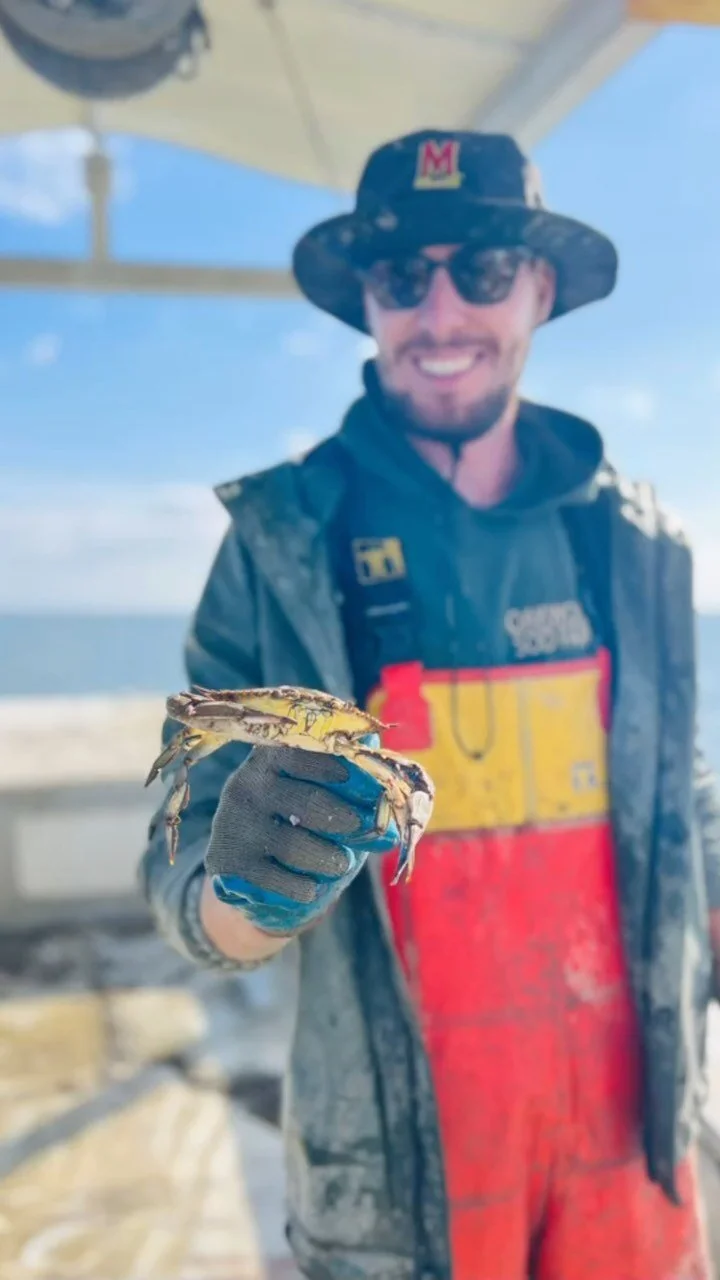 News & Press — ORCHARD POINT OYSTER CO.