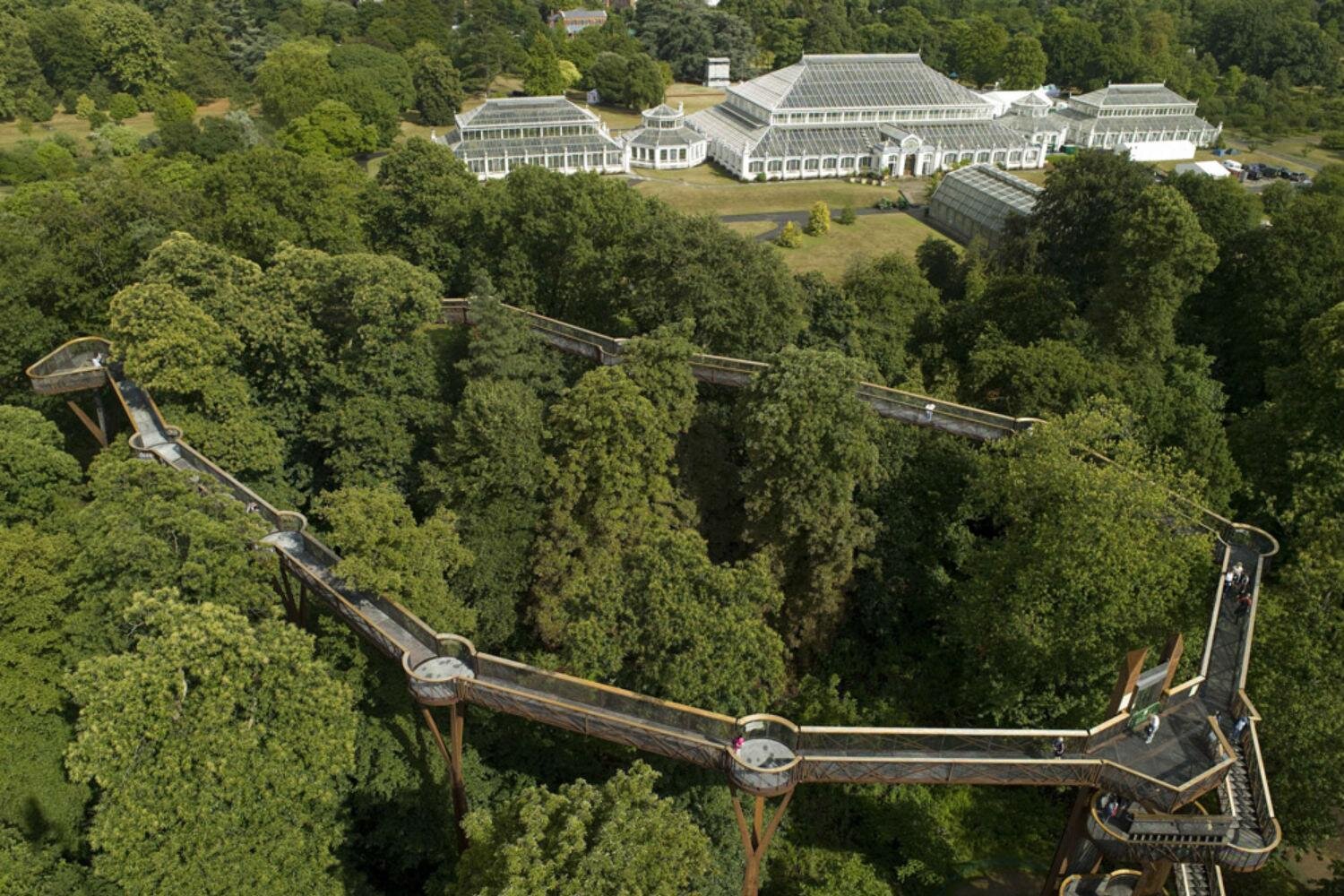 Treetop Walkway Royal Botanic Gardens Kew — smartform architecture