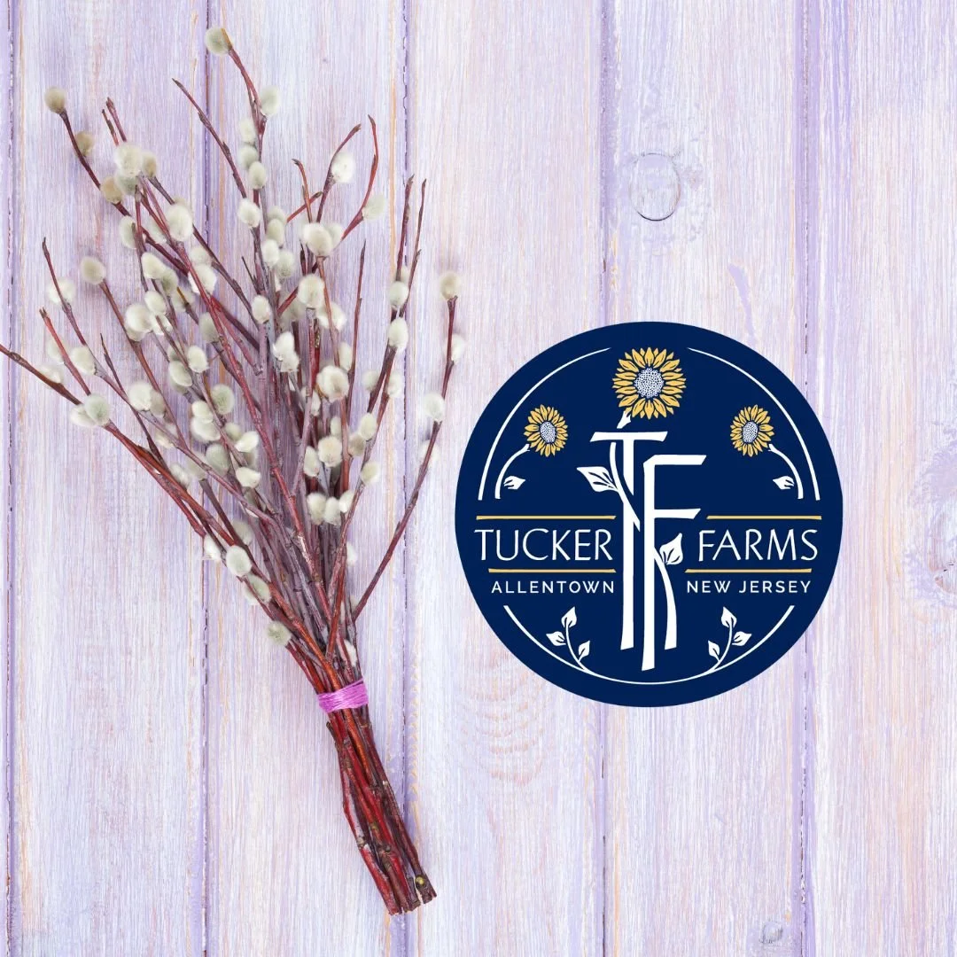 Store 2 — TUCKER FARMS/Farm Direct Flowers NJ