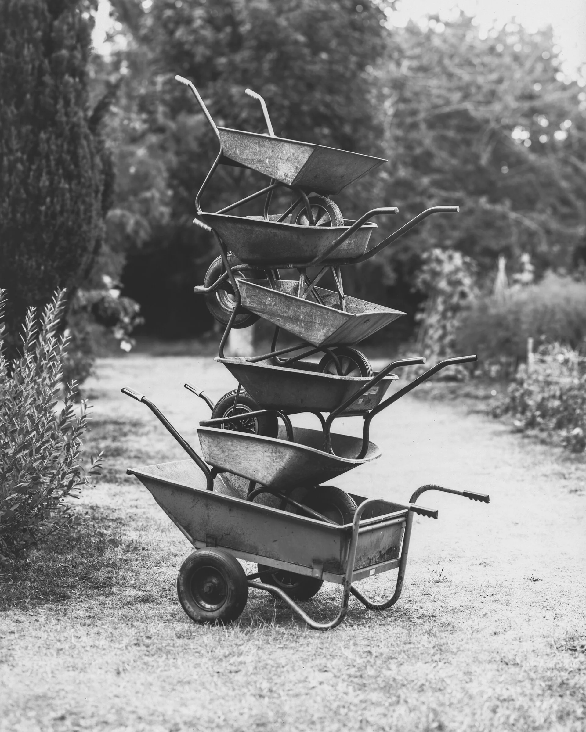 Together We Grow — Brendan Barry