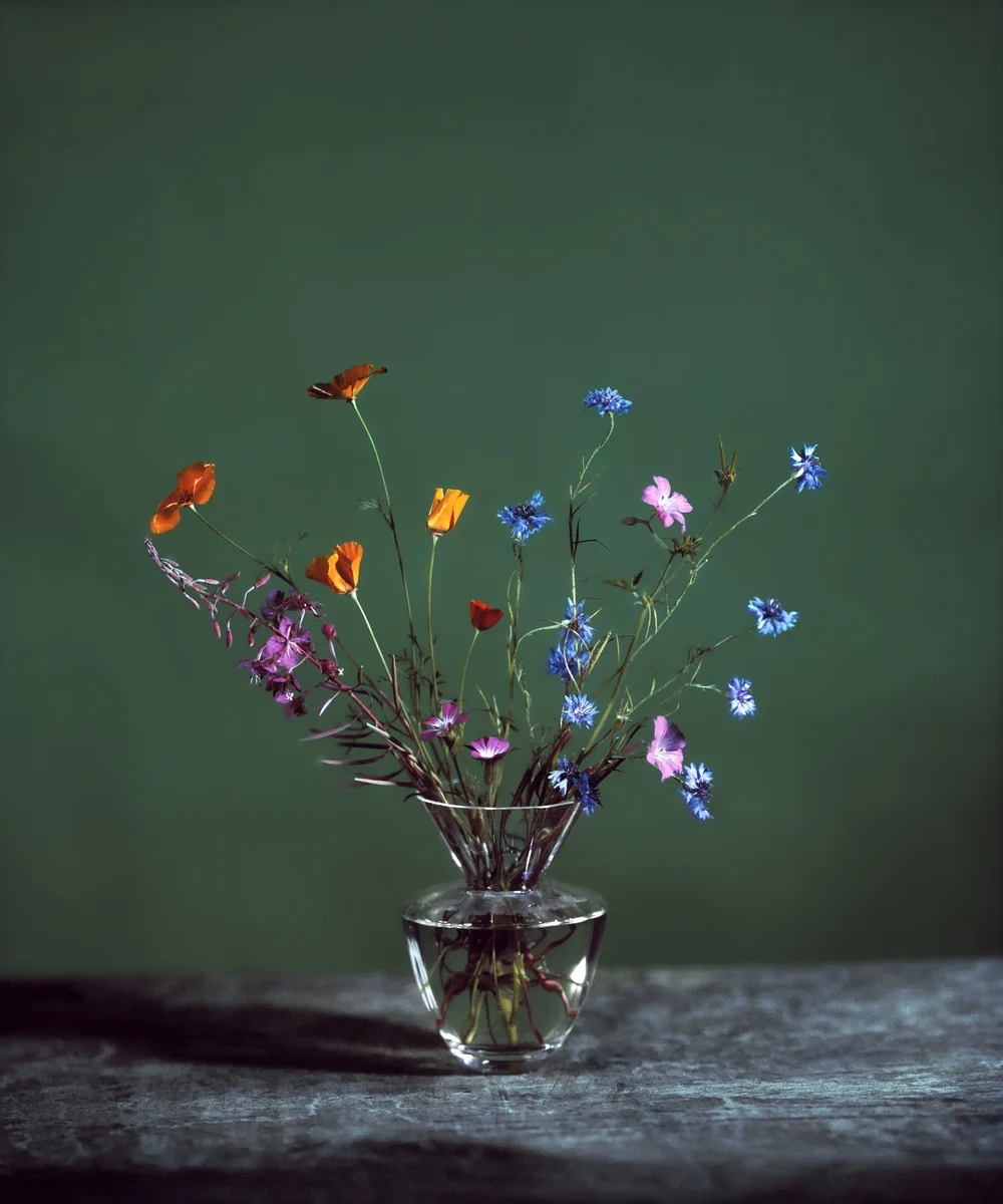 Brendan Barry
