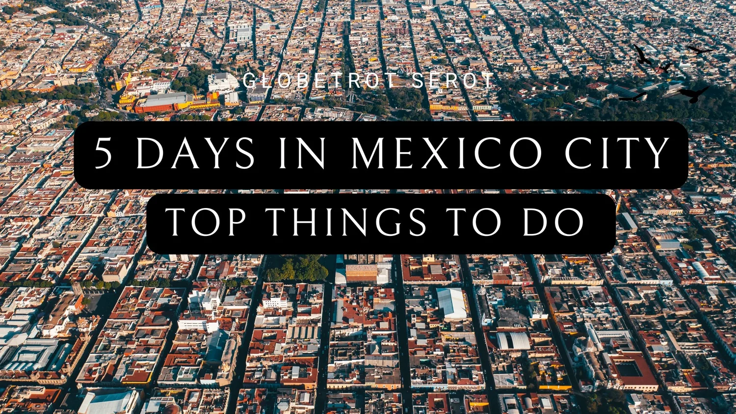 5 Days in Mexico City: Top Things To Do — Globetrot Serot - Travel Blog