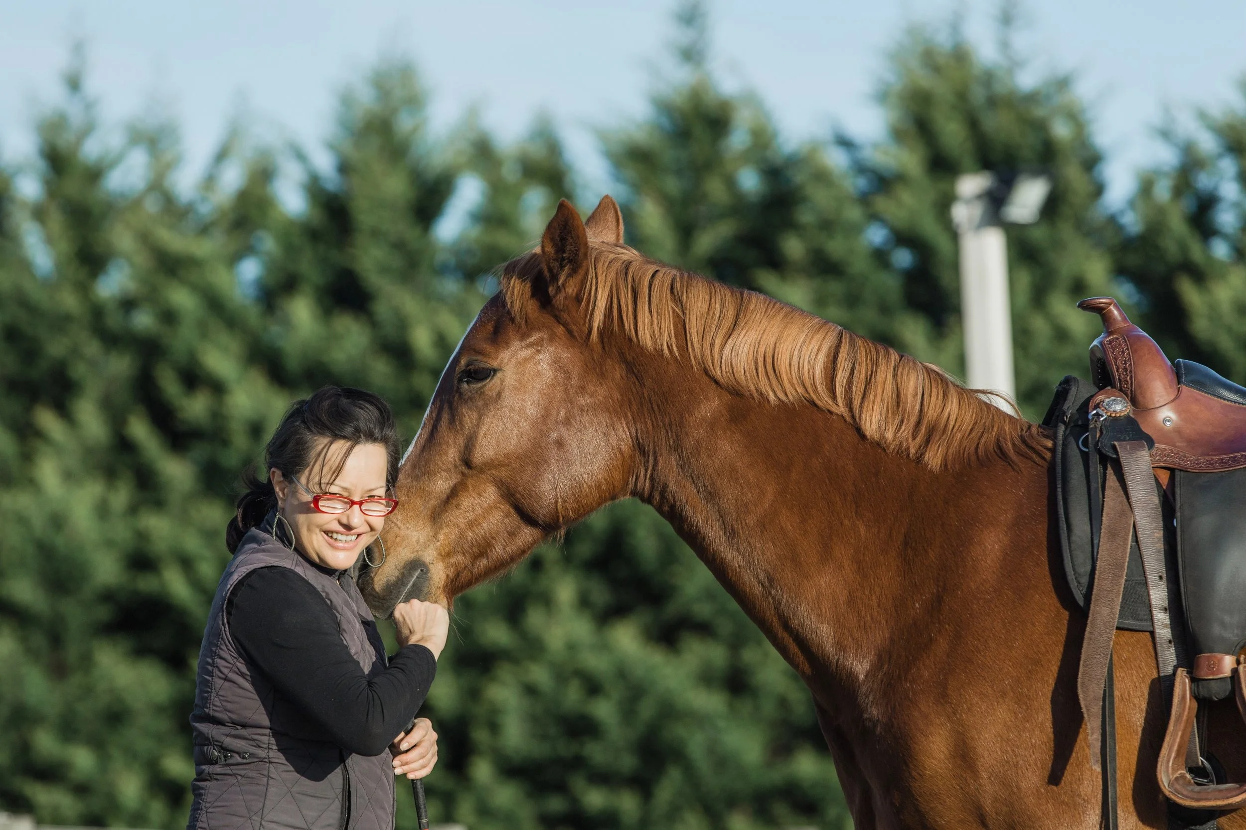 Lisa Boyd - Bio — Horses for Causes