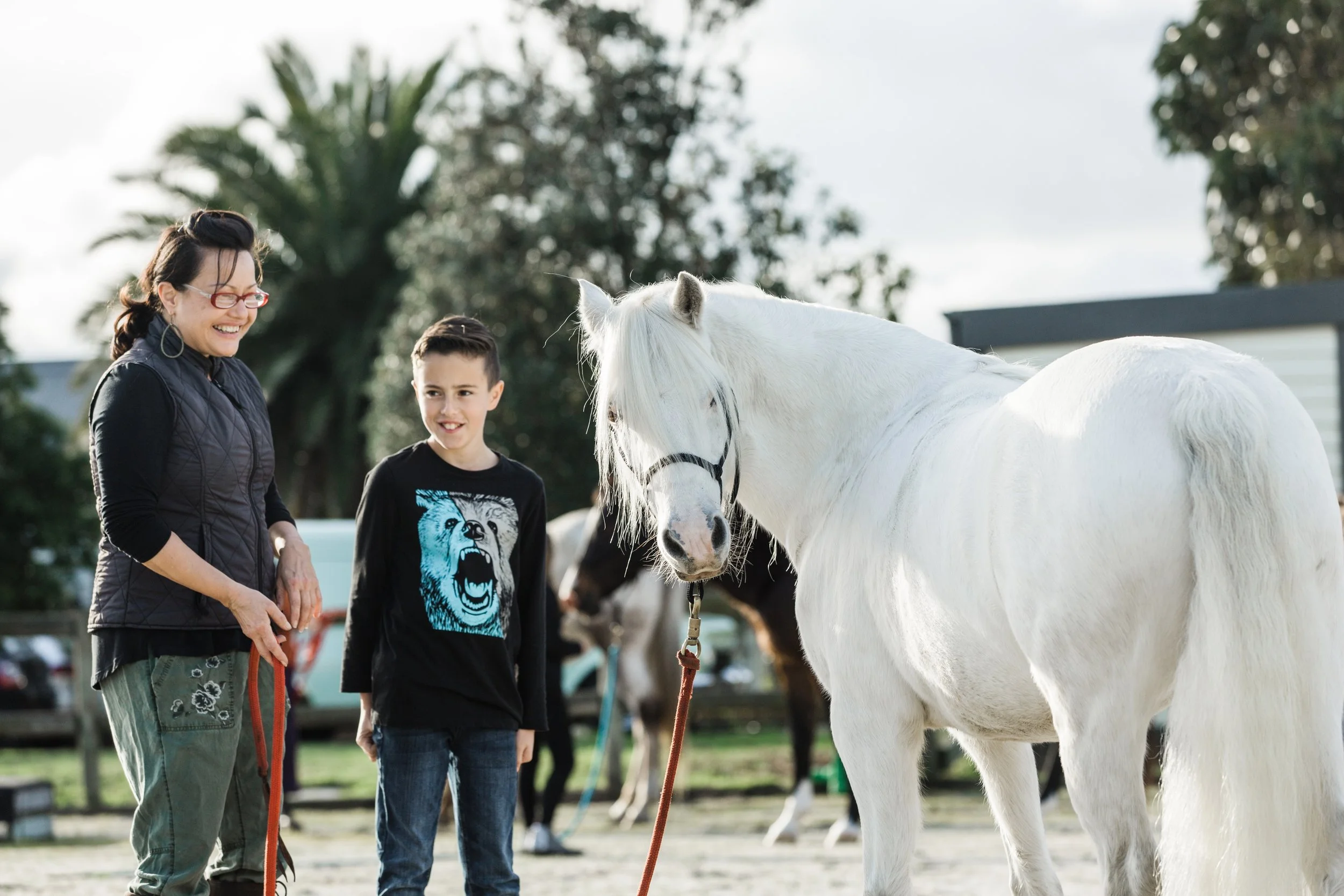 Lisa Boyd - Bio — Horses for Causes