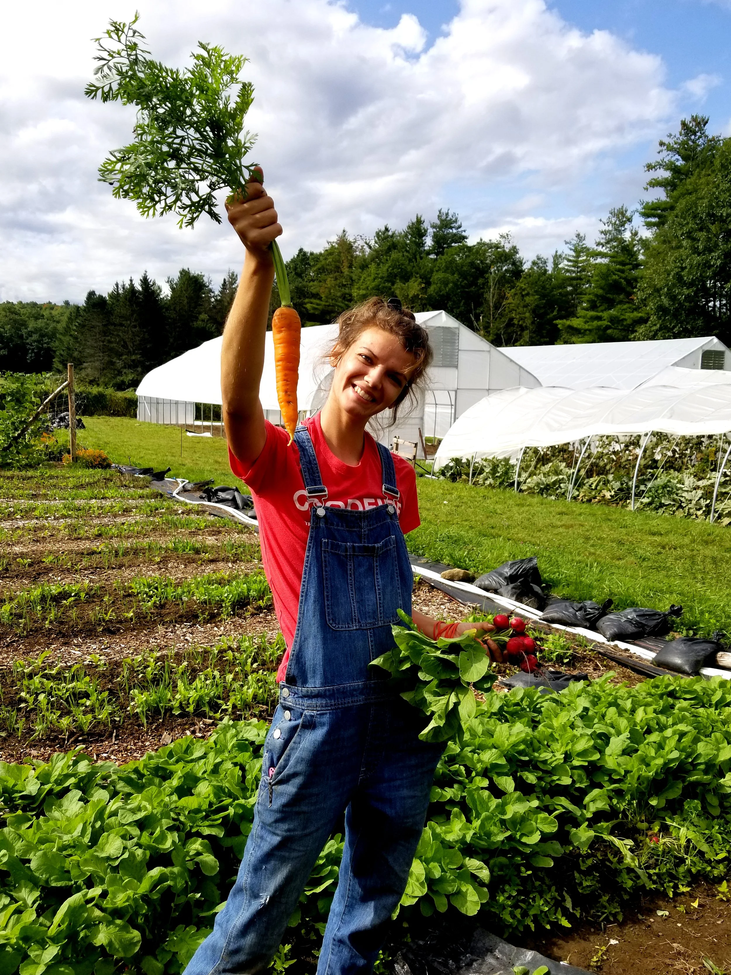 Farm Store — Winter Street Farm