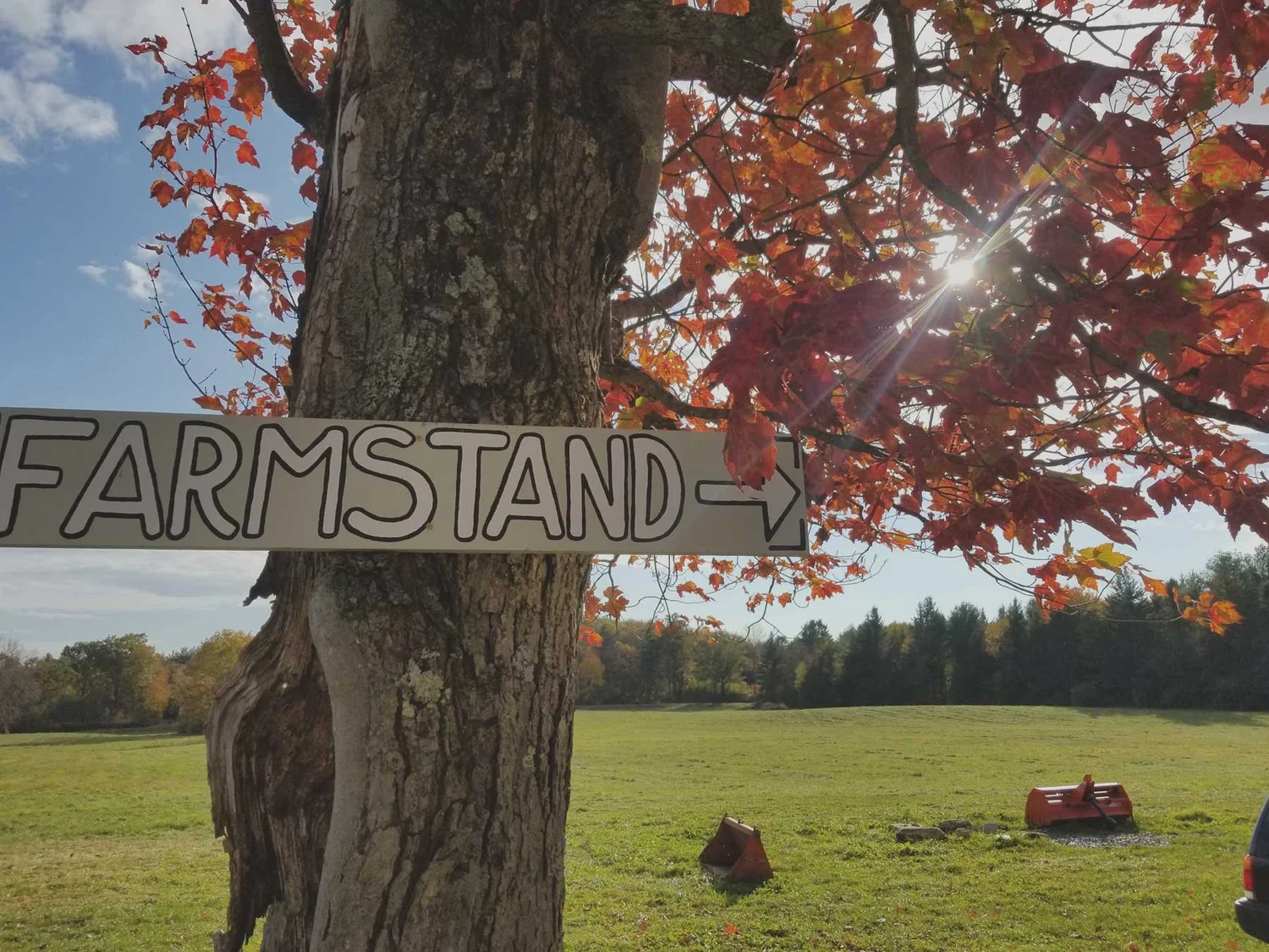 Farm Stand — Winter Street Farm