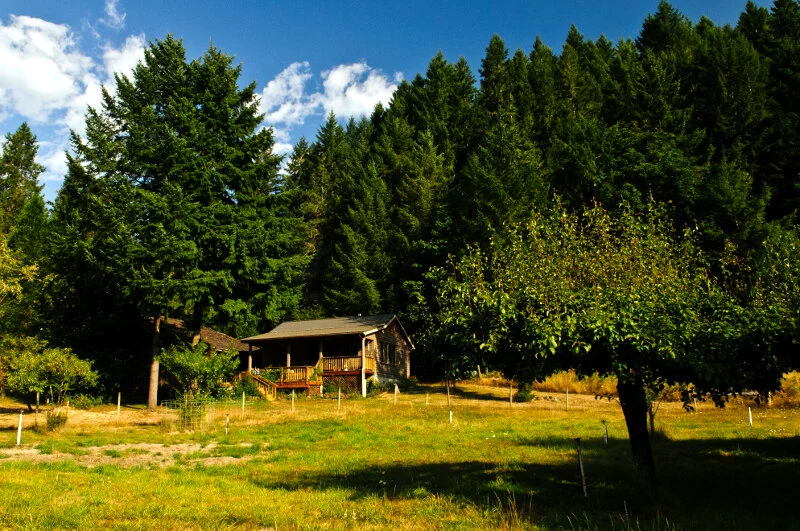 Farm Stay — Leaping Lamb Farm & Farm Stay