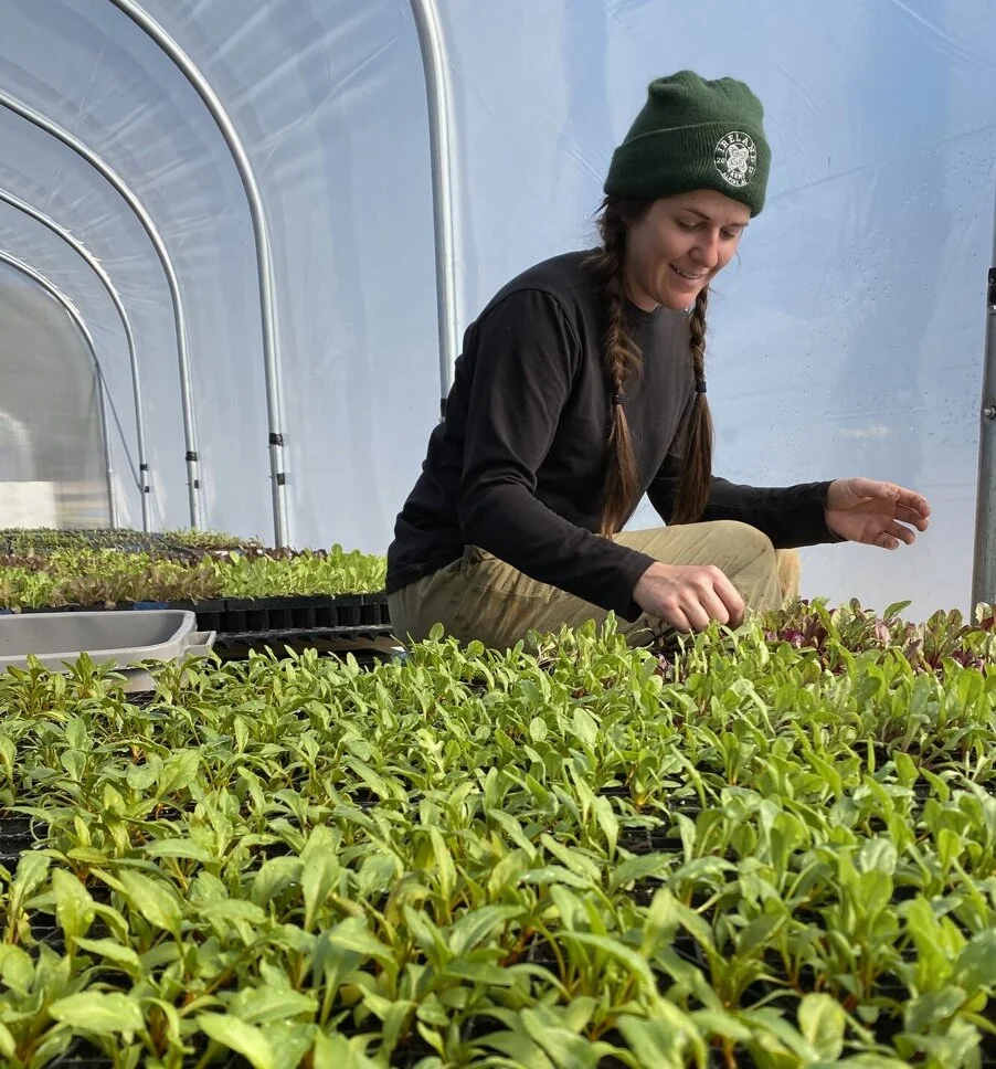 About — Ireland Farms