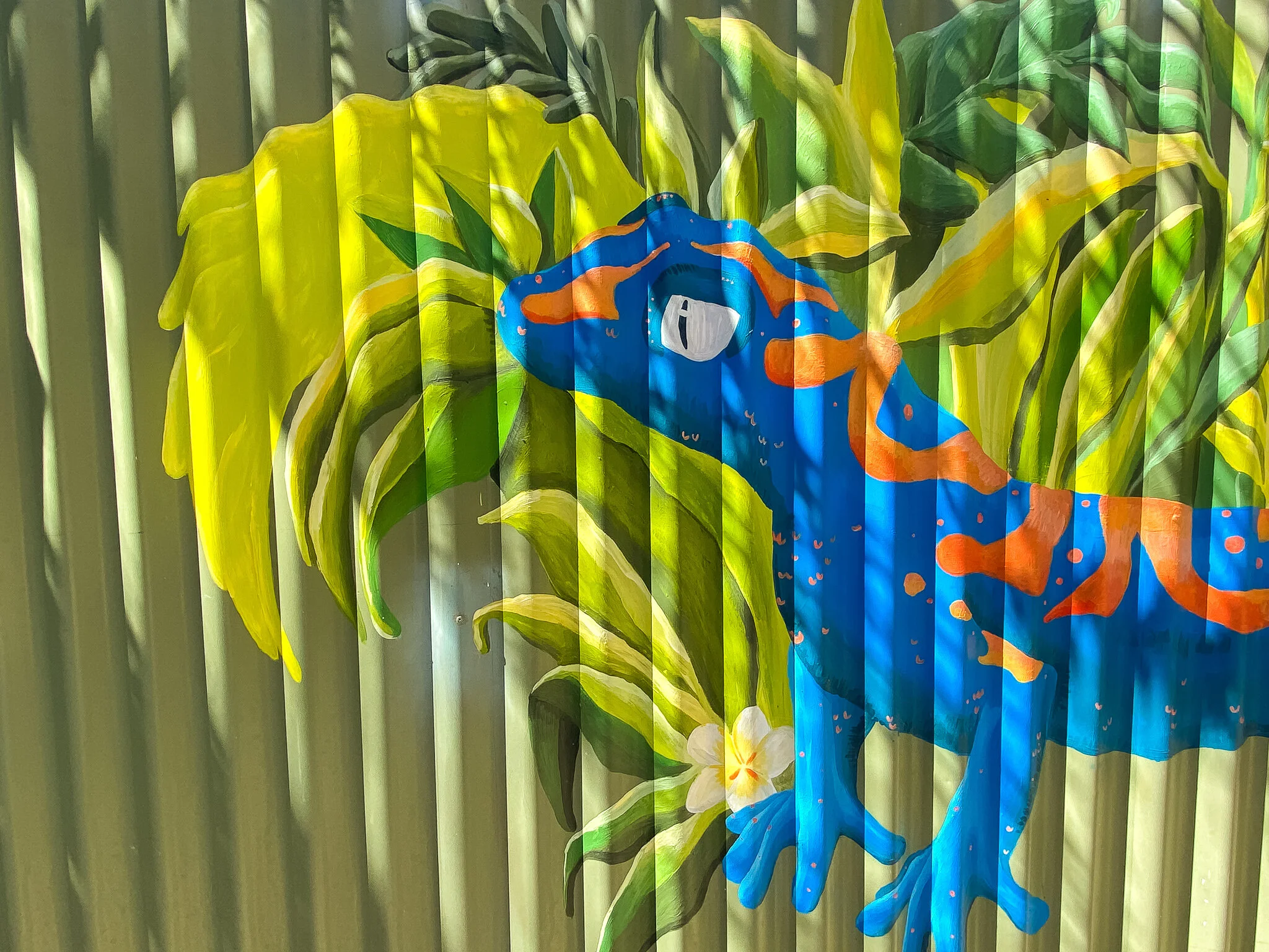 Blue Gecko — CLAUDIA SOLER BERNARDINI