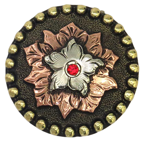 Coloured Conchos — Conchos Australia