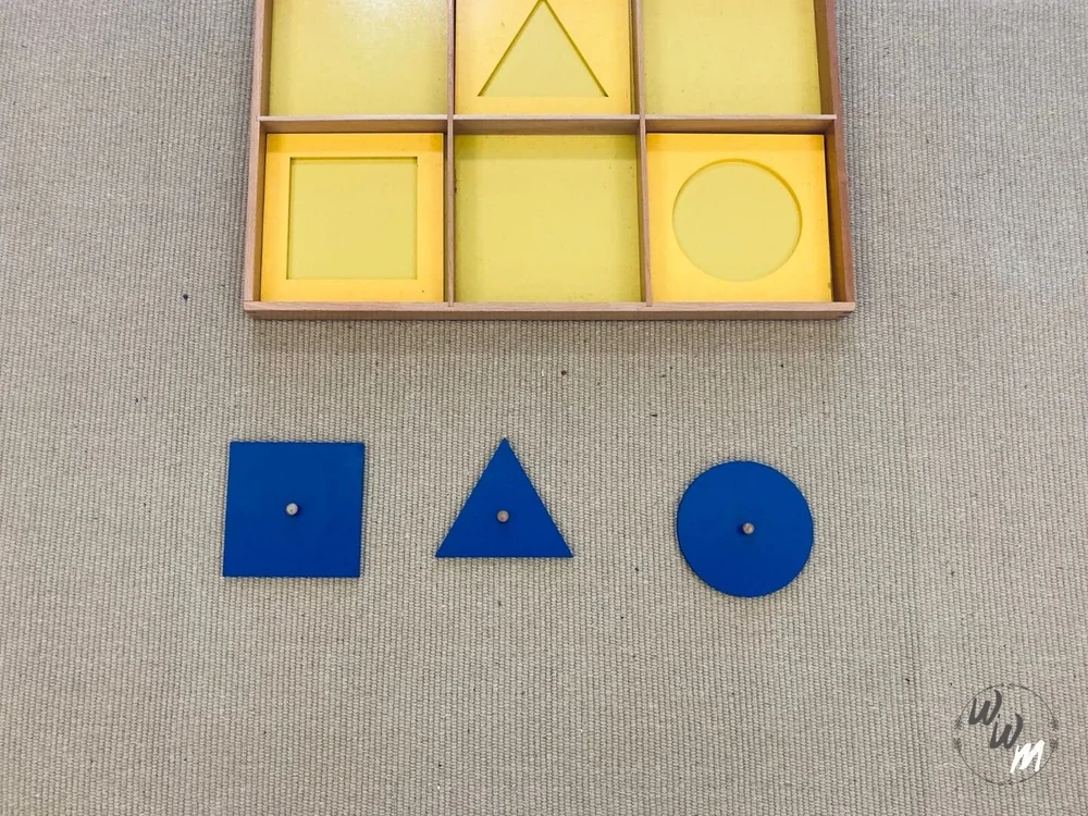 Montessori Botany Cabinet Presentation | Cabinets Matttroy