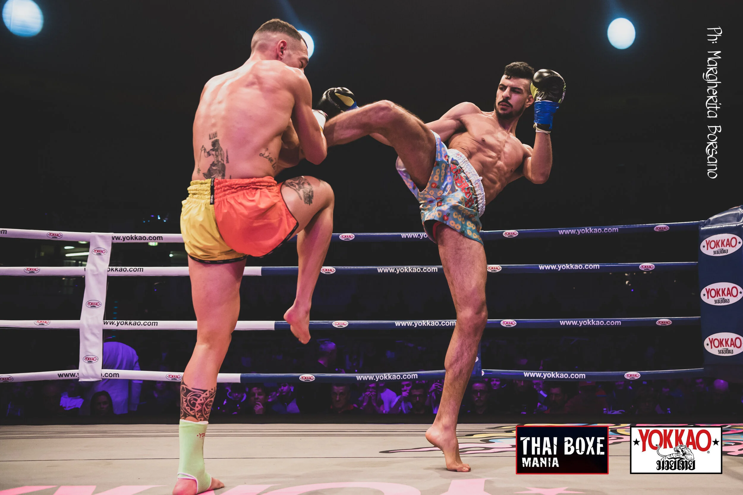 Media — Thai Boxe Mania - Evento di sport da combattimento