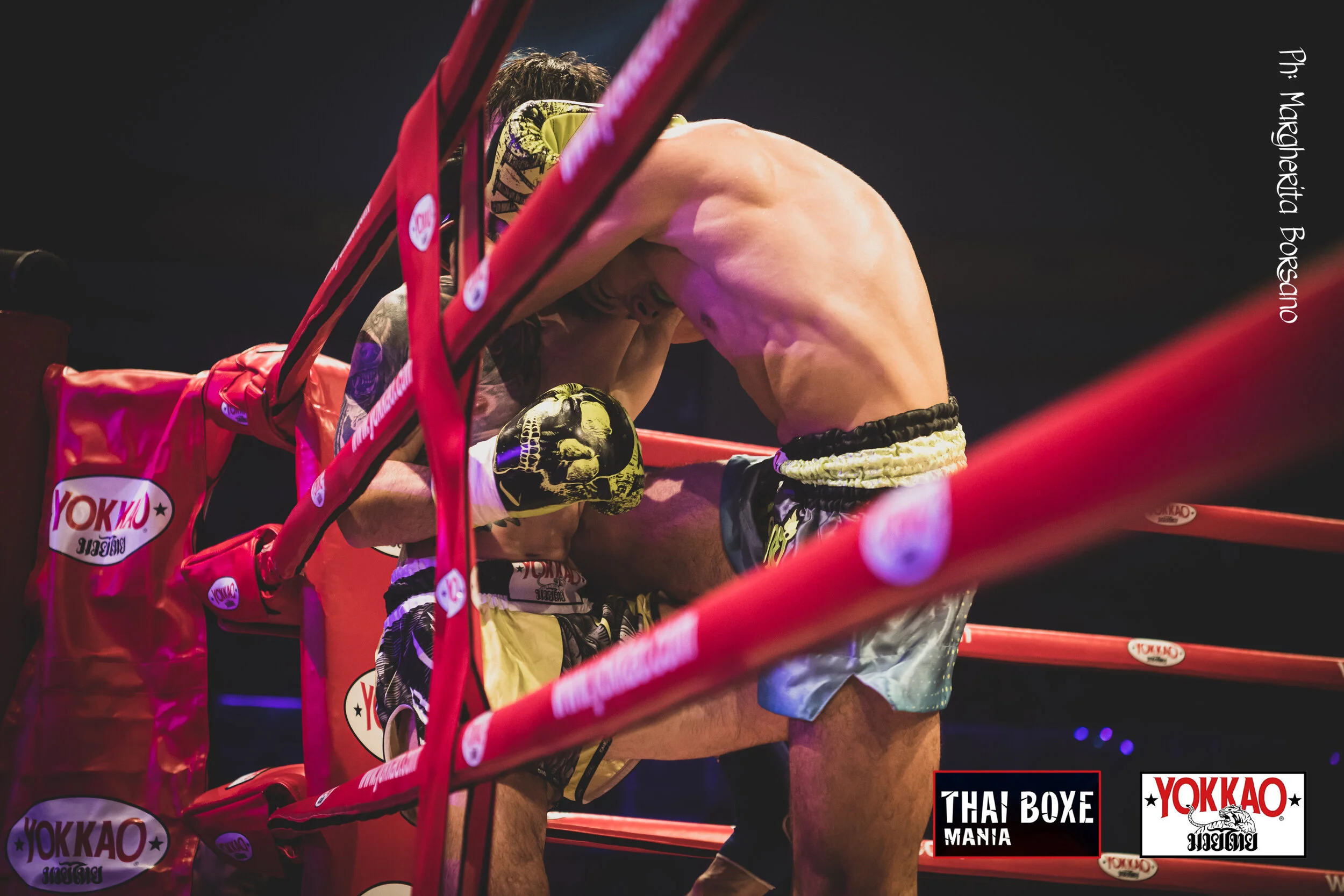 Media — Thai Boxe Mania - Evento di sport da combattimento