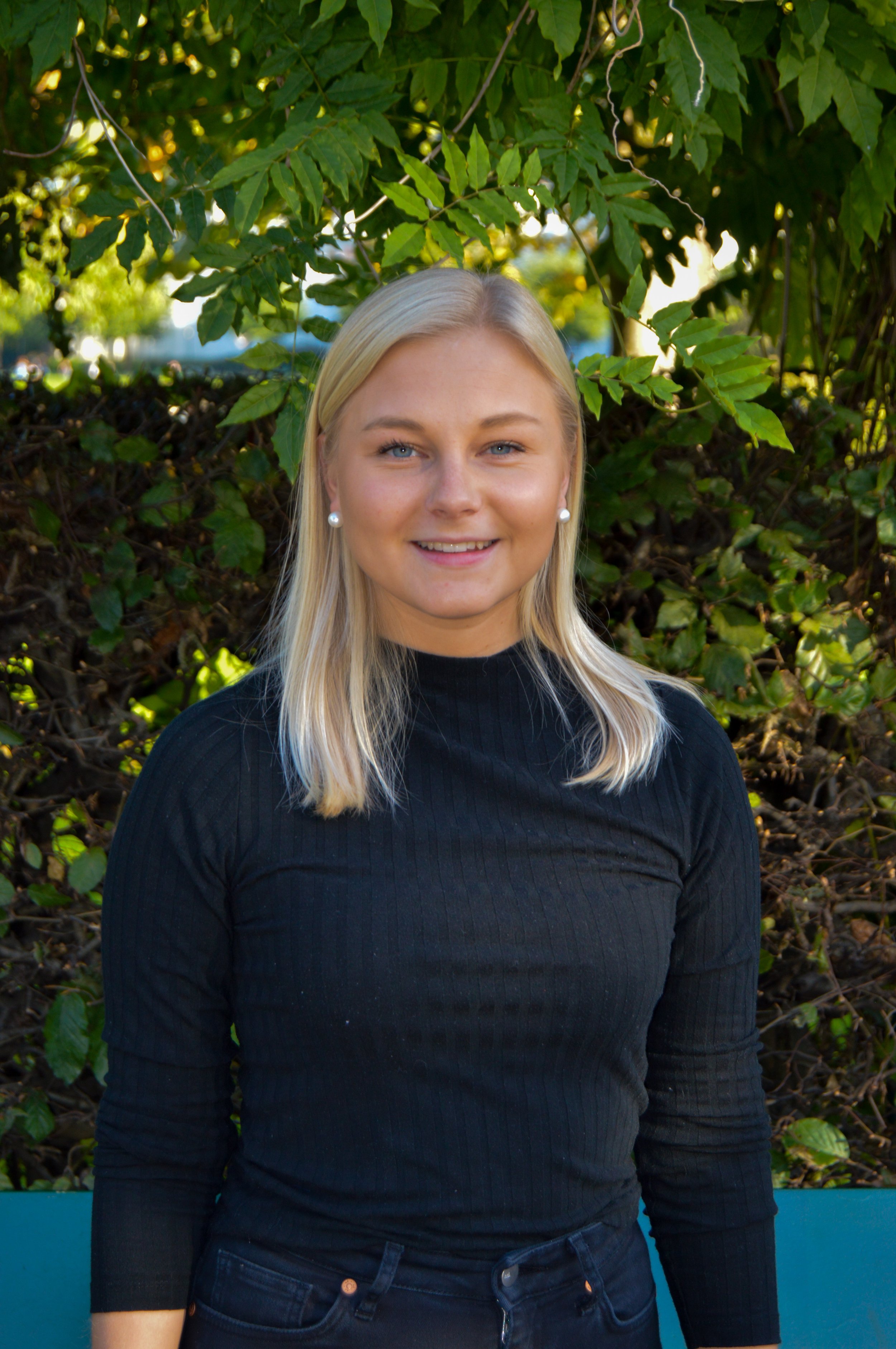 Hovedstyret — Psykologisk Studentforening