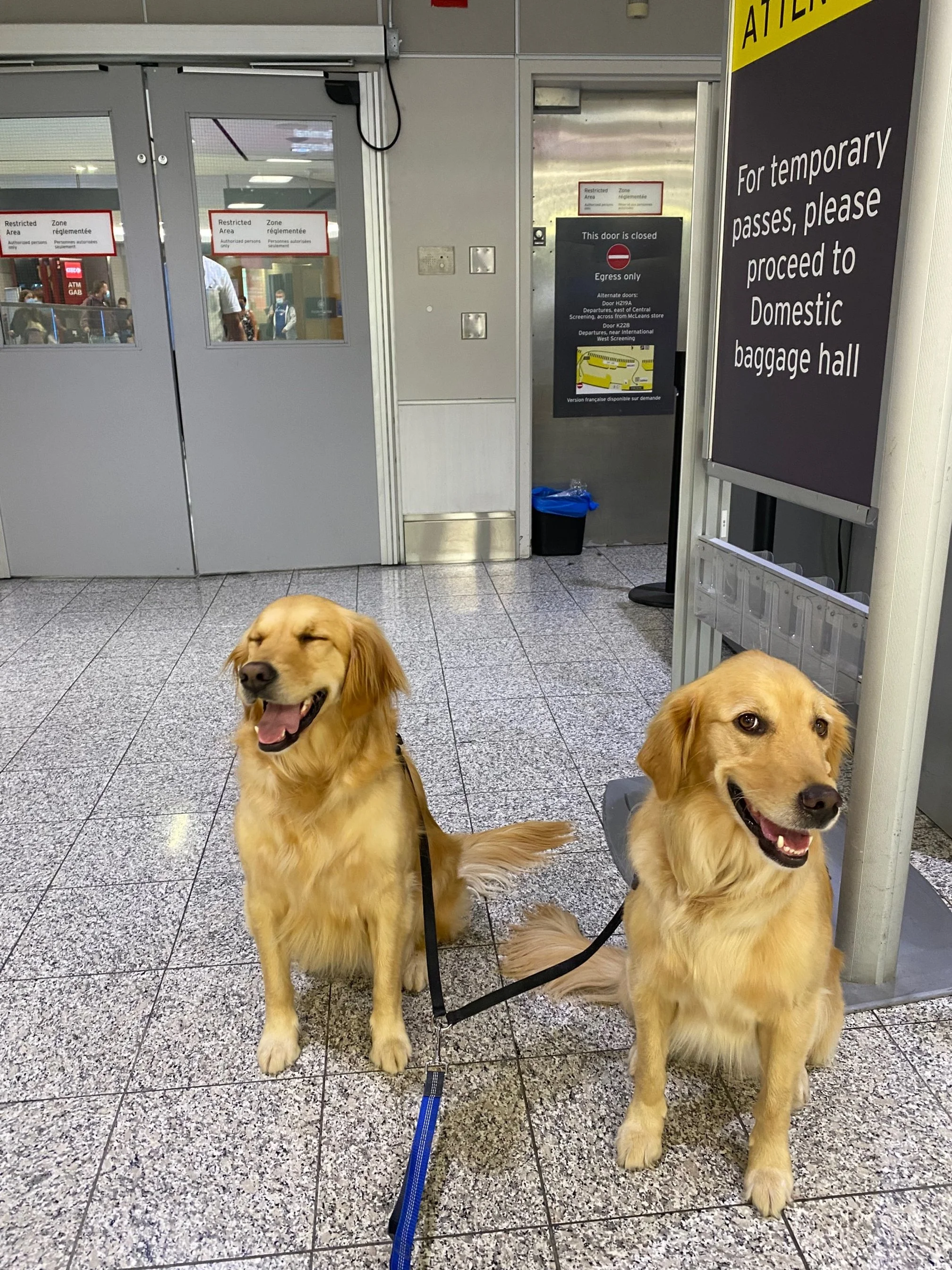 Contact 1 — Sunshine Therapy Dogs