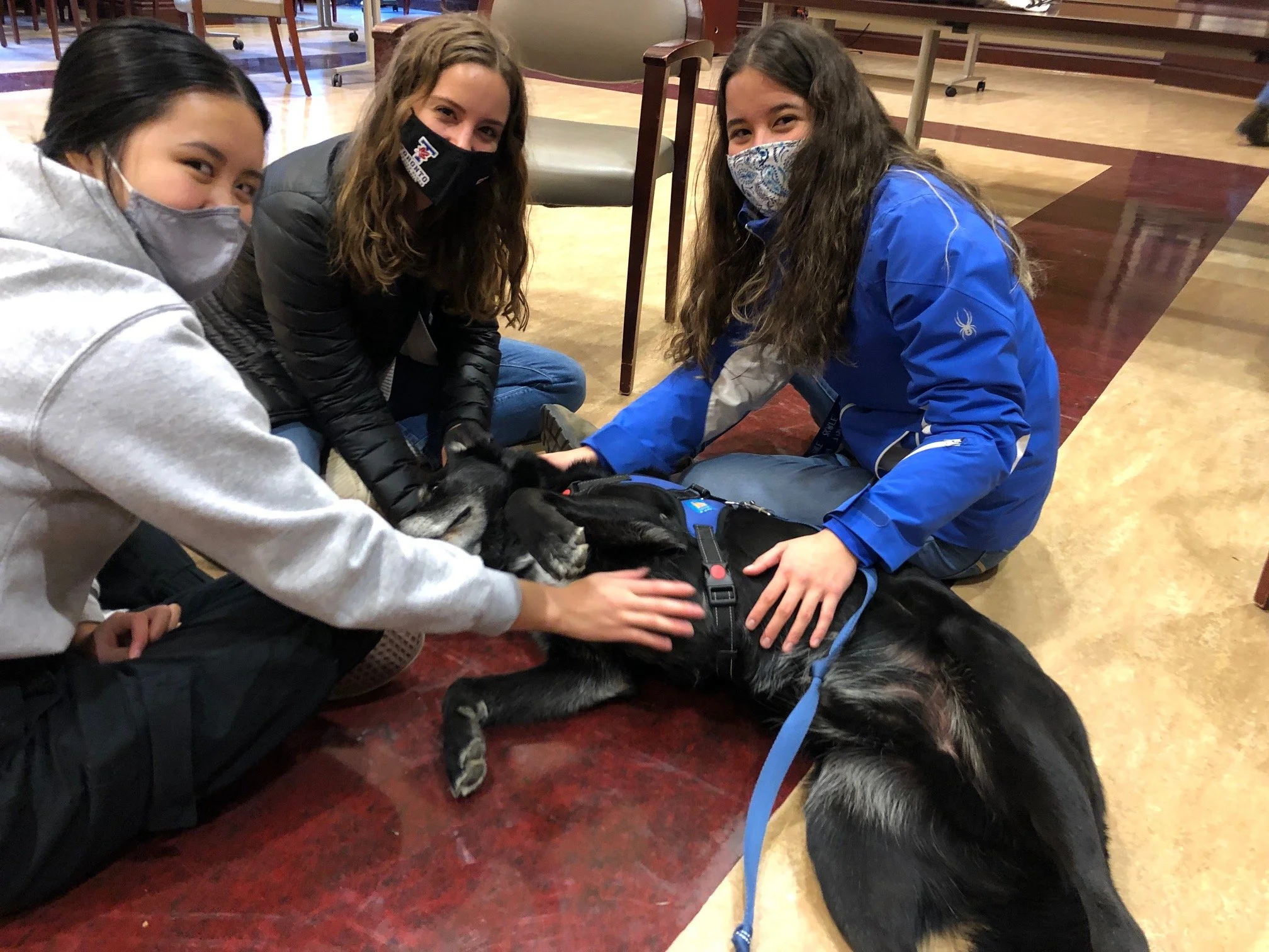 General 6 — Sunshine Therapy Dogs