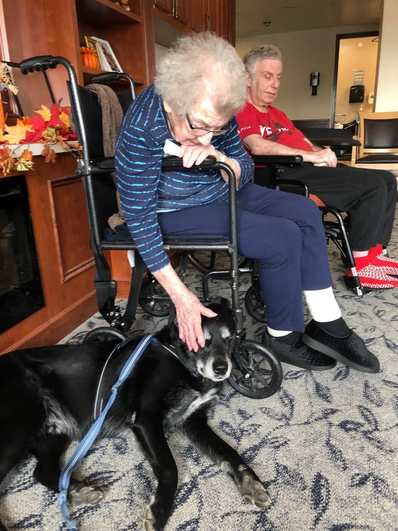 Contact 1 — Sunshine Therapy Dogs