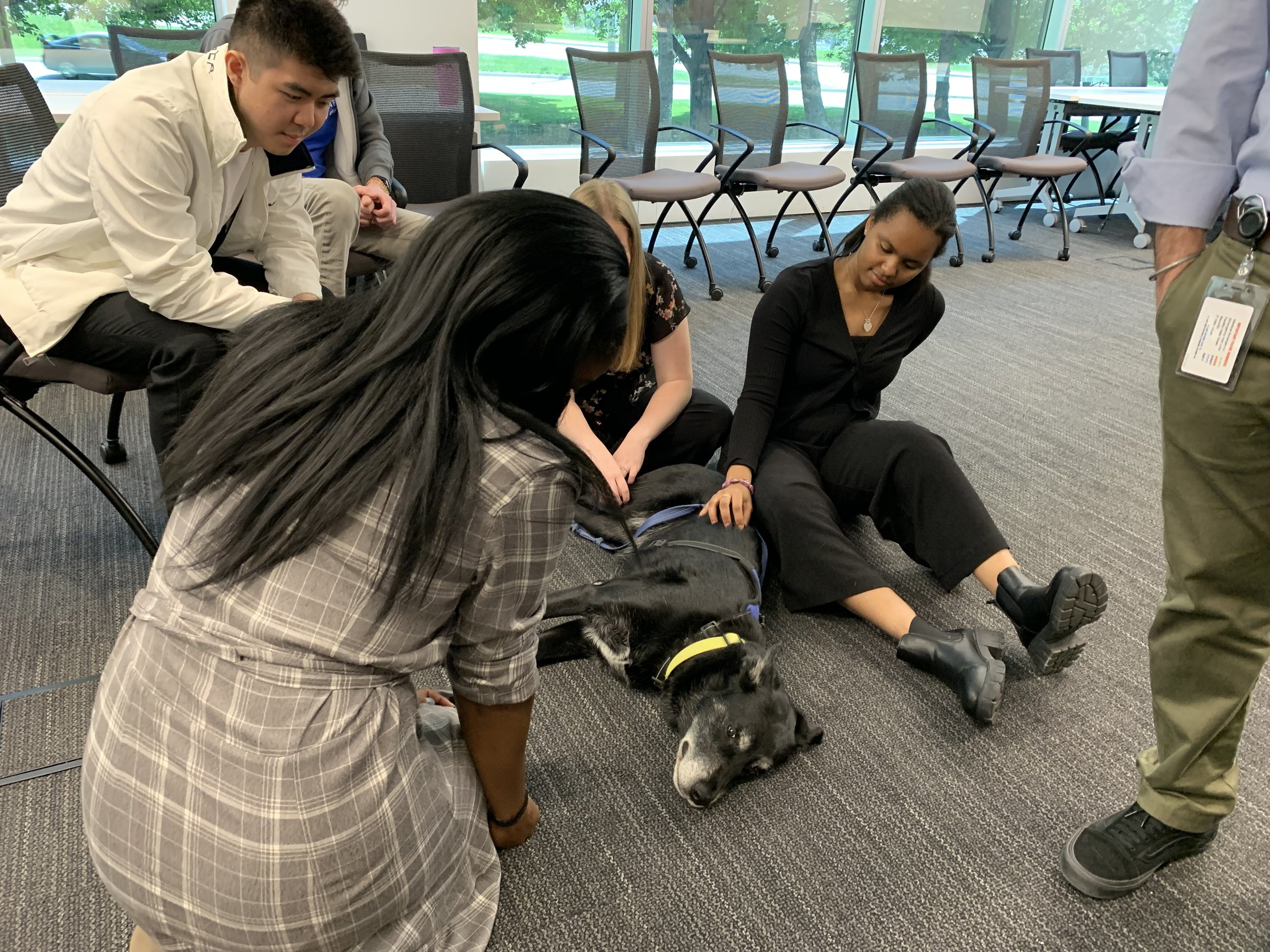 Contact 1 — Sunshine Therapy Dogs