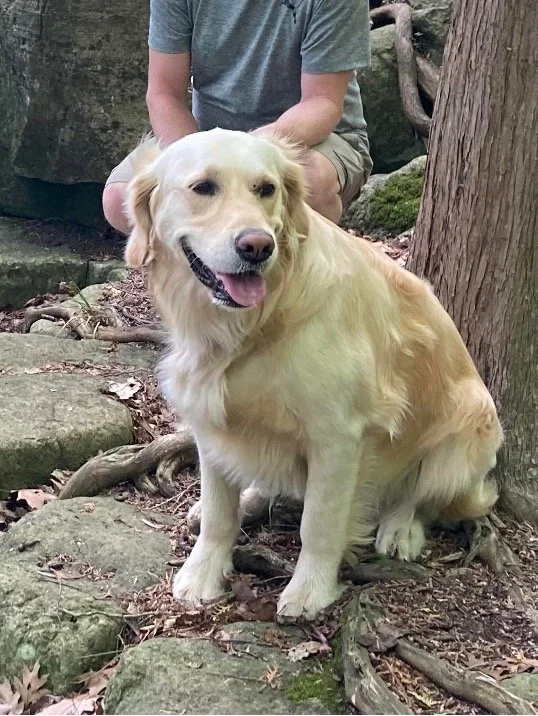 General 6 — Sunshine Therapy Dogs