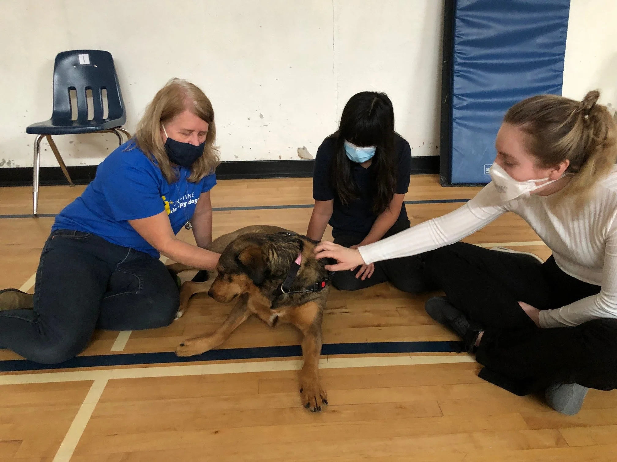 Contact 1 — Sunshine Therapy Dogs