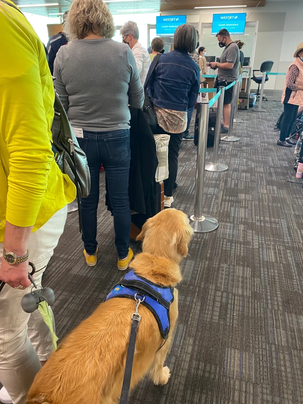 Contact 1 — Sunshine Therapy Dogs