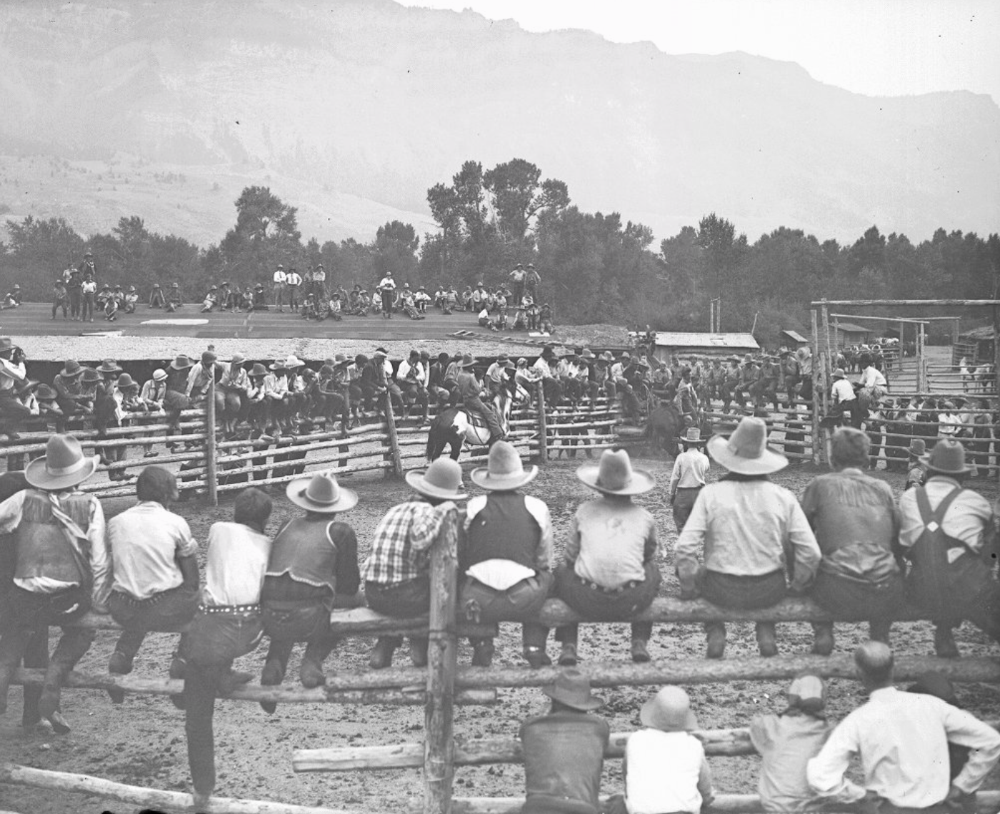 The Building Of A Brand — The Pitchfork Ranch