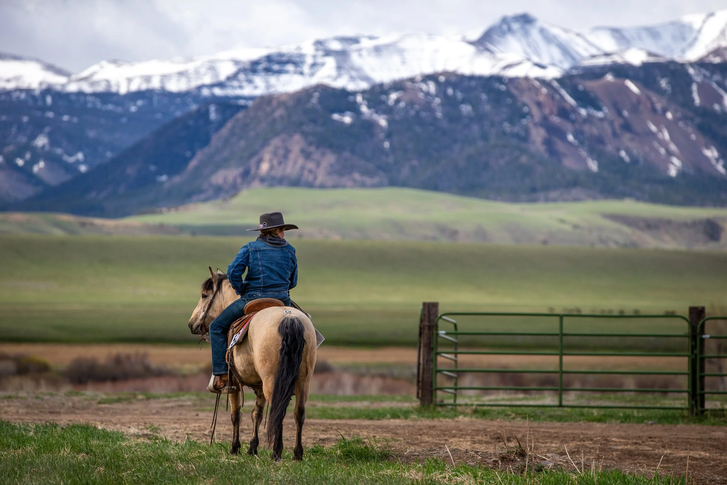 Pitchfork Horse Sale — The Pitchfork Ranch