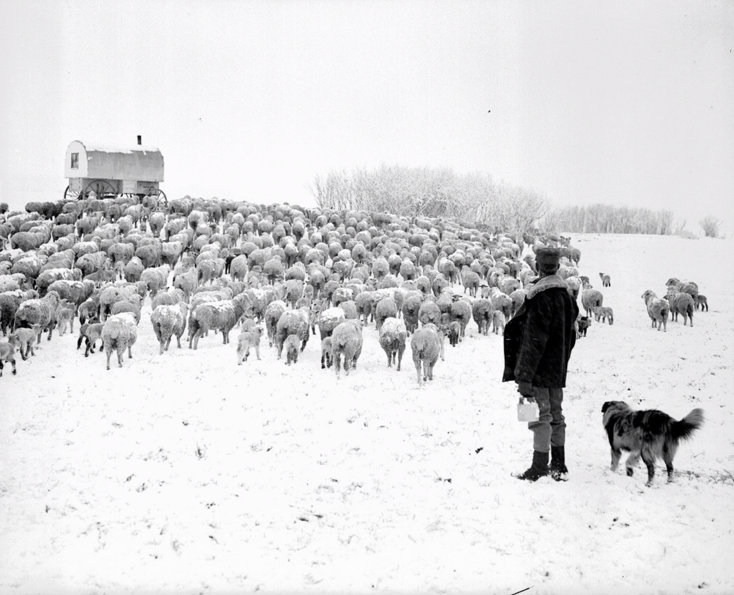 The Building Of A Brand — The Pitchfork Ranch