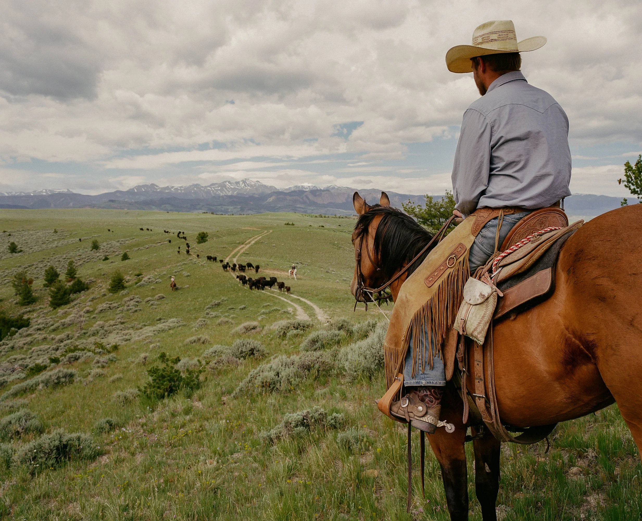 The Pitchfork Ranch
