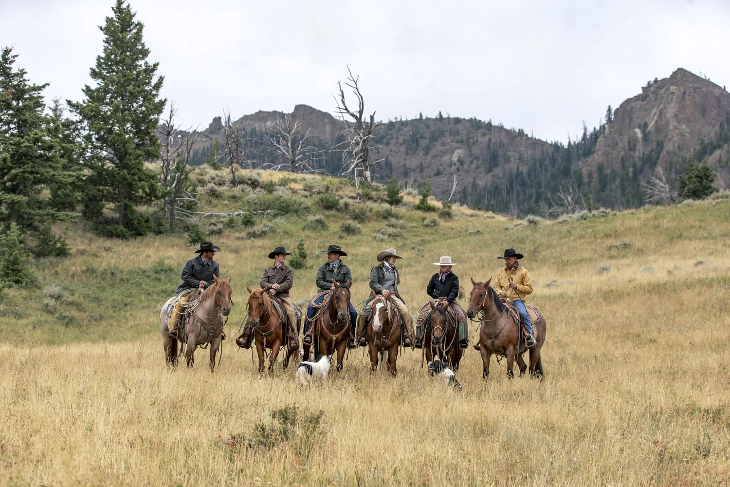Join The Team — The Pitchfork Ranch