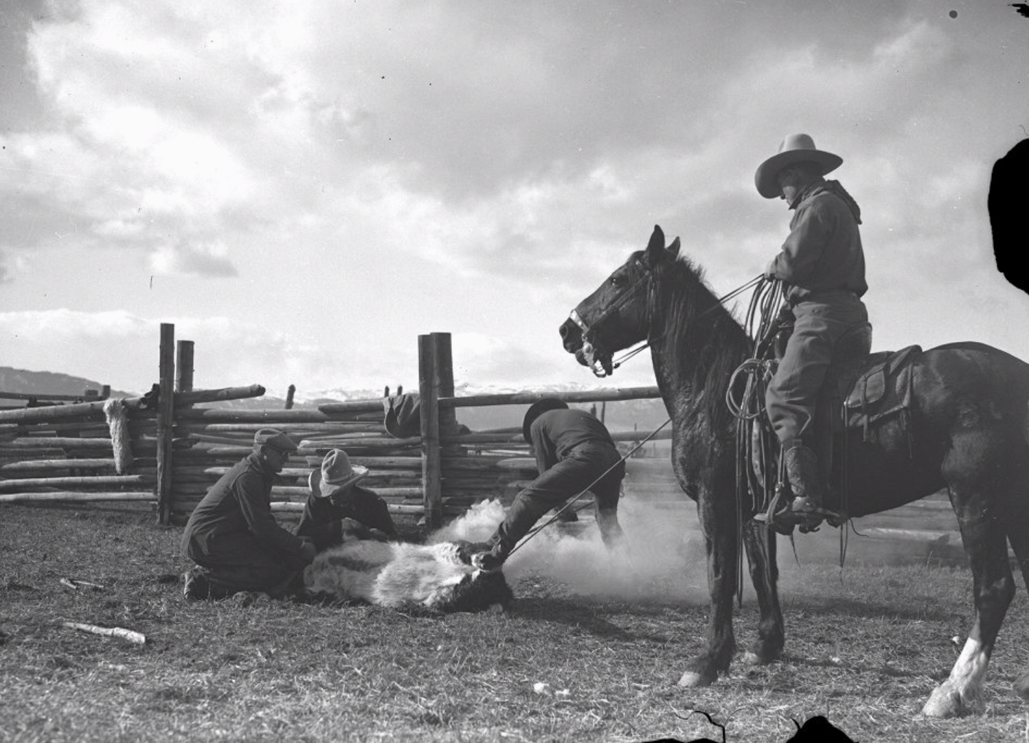 The Building Of A Brand — The Pitchfork Ranch