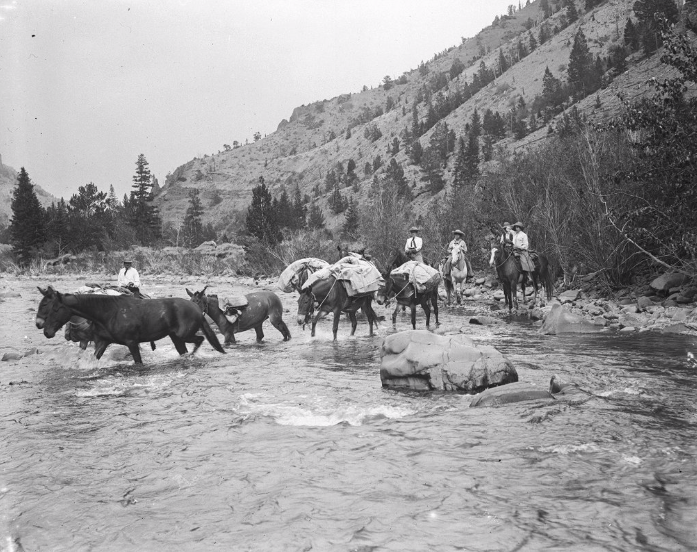 The Building Of A Brand — The Pitchfork Ranch