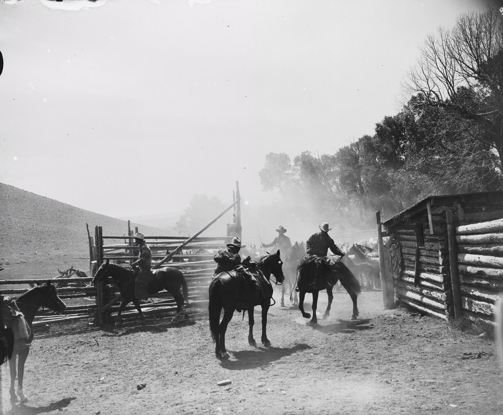 The Building Of A Brand — The Pitchfork Ranch