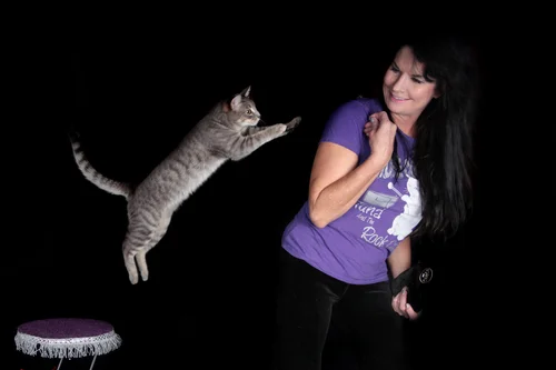 About — Rock Cats Rescue Inc